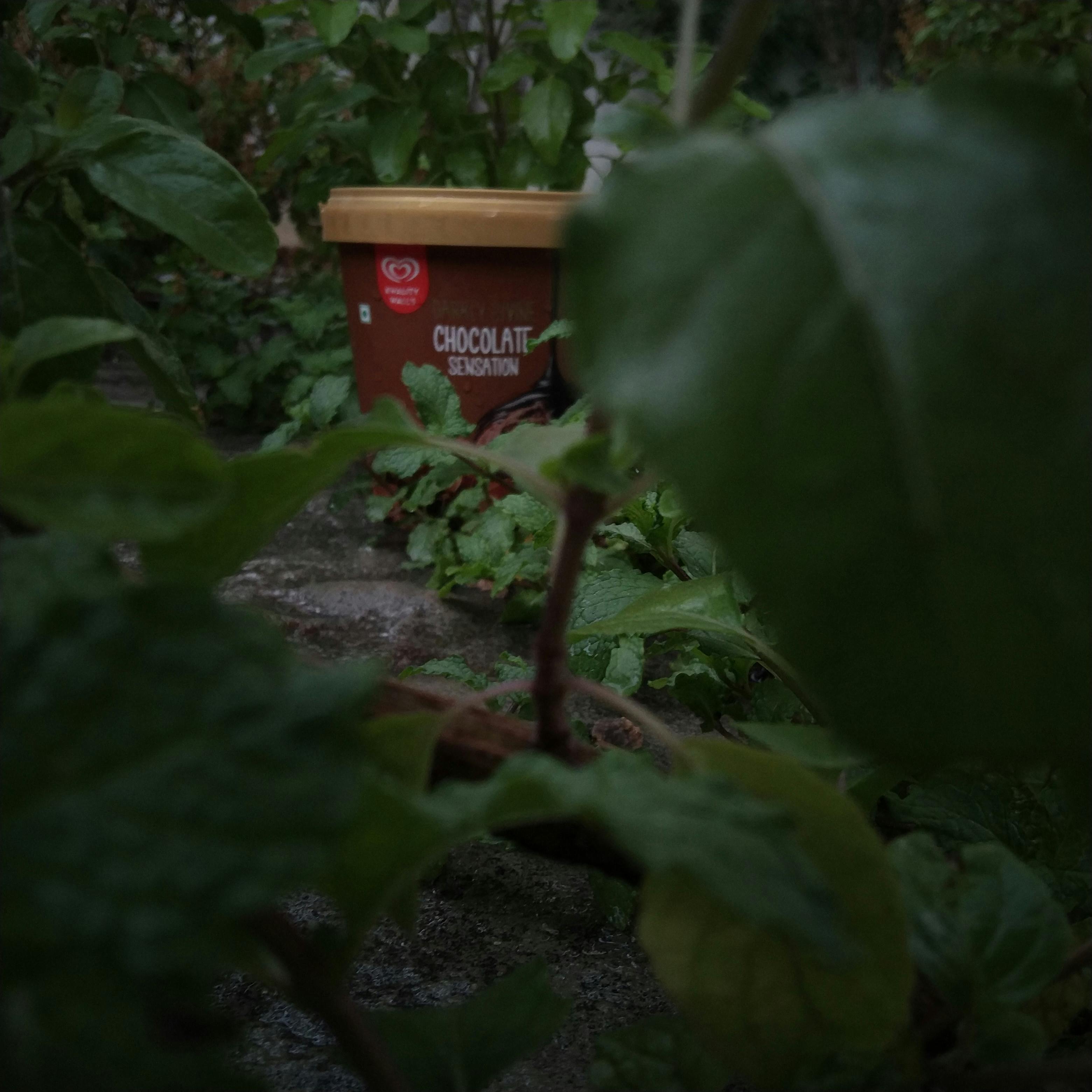 mohammad sameer - Photography