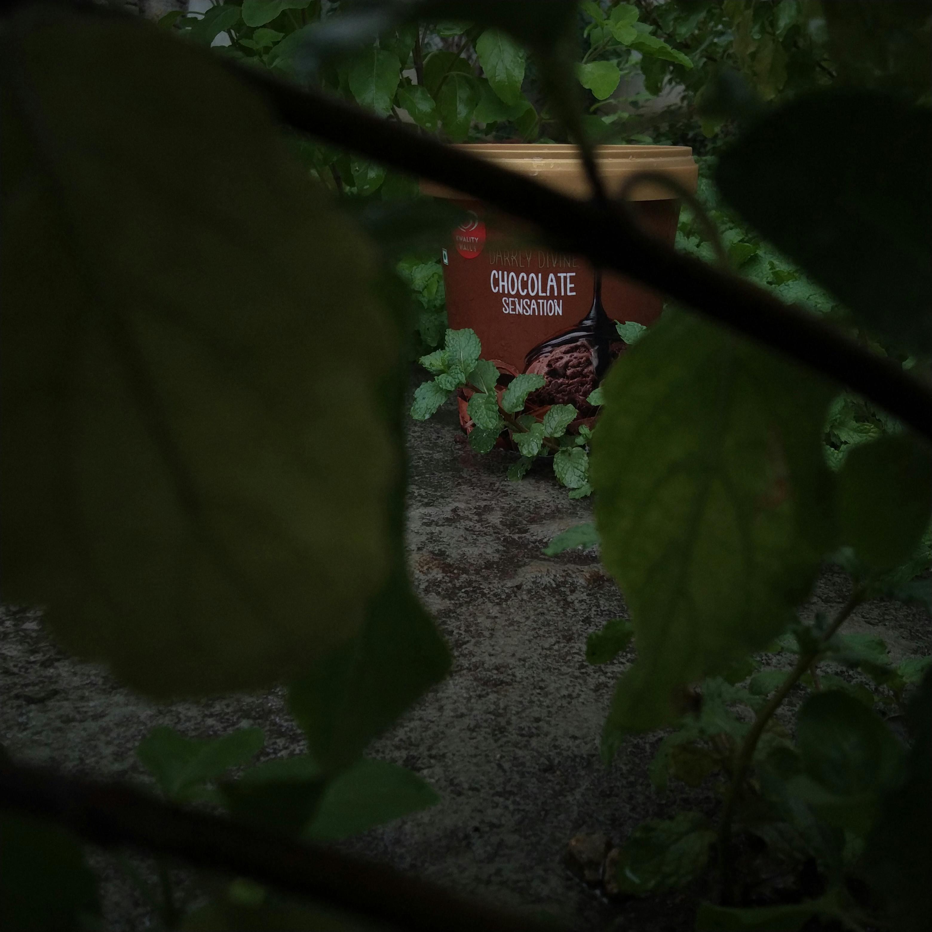 mohammad sameer - Photography