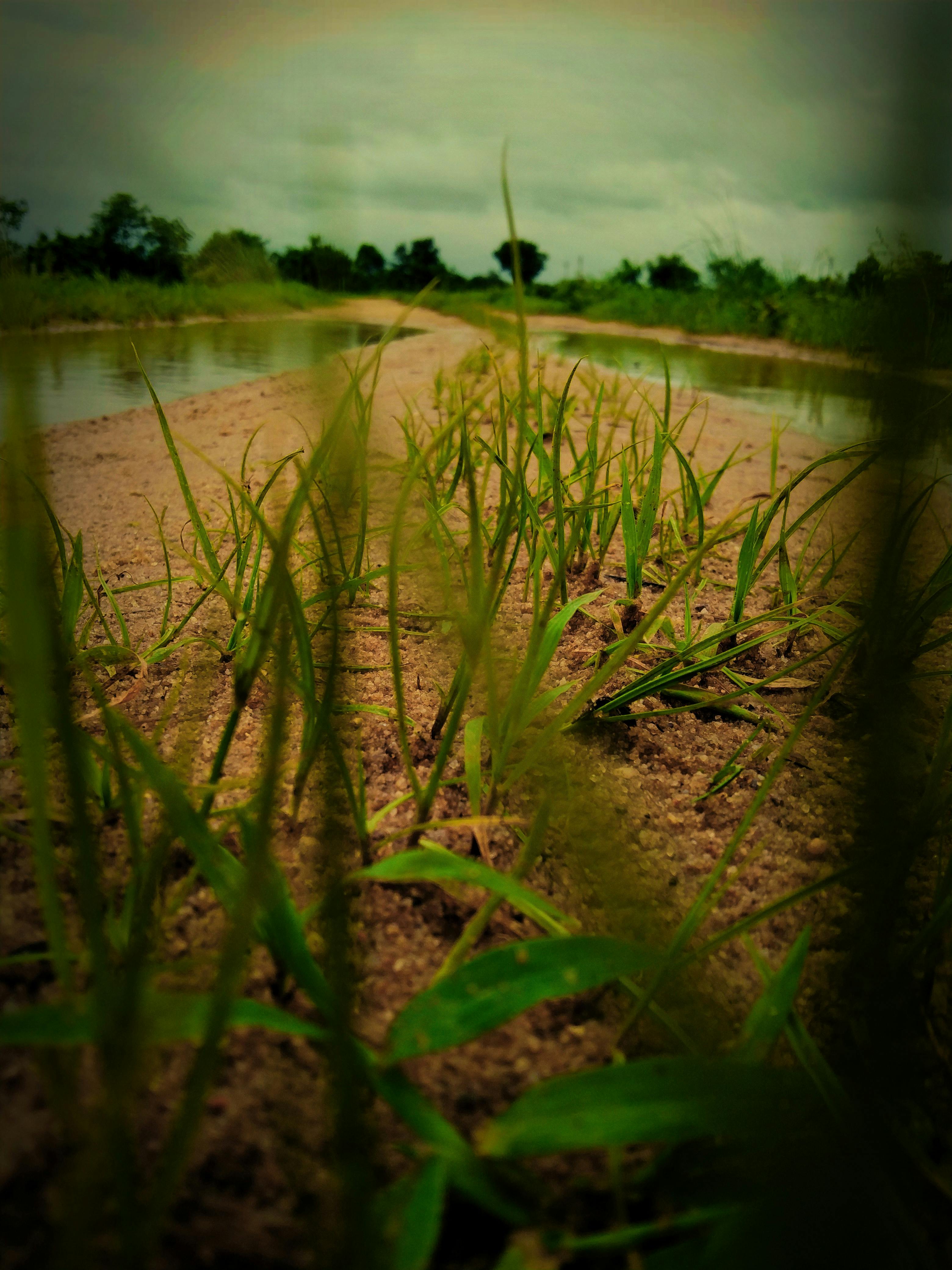 mohammad sameer - Photography