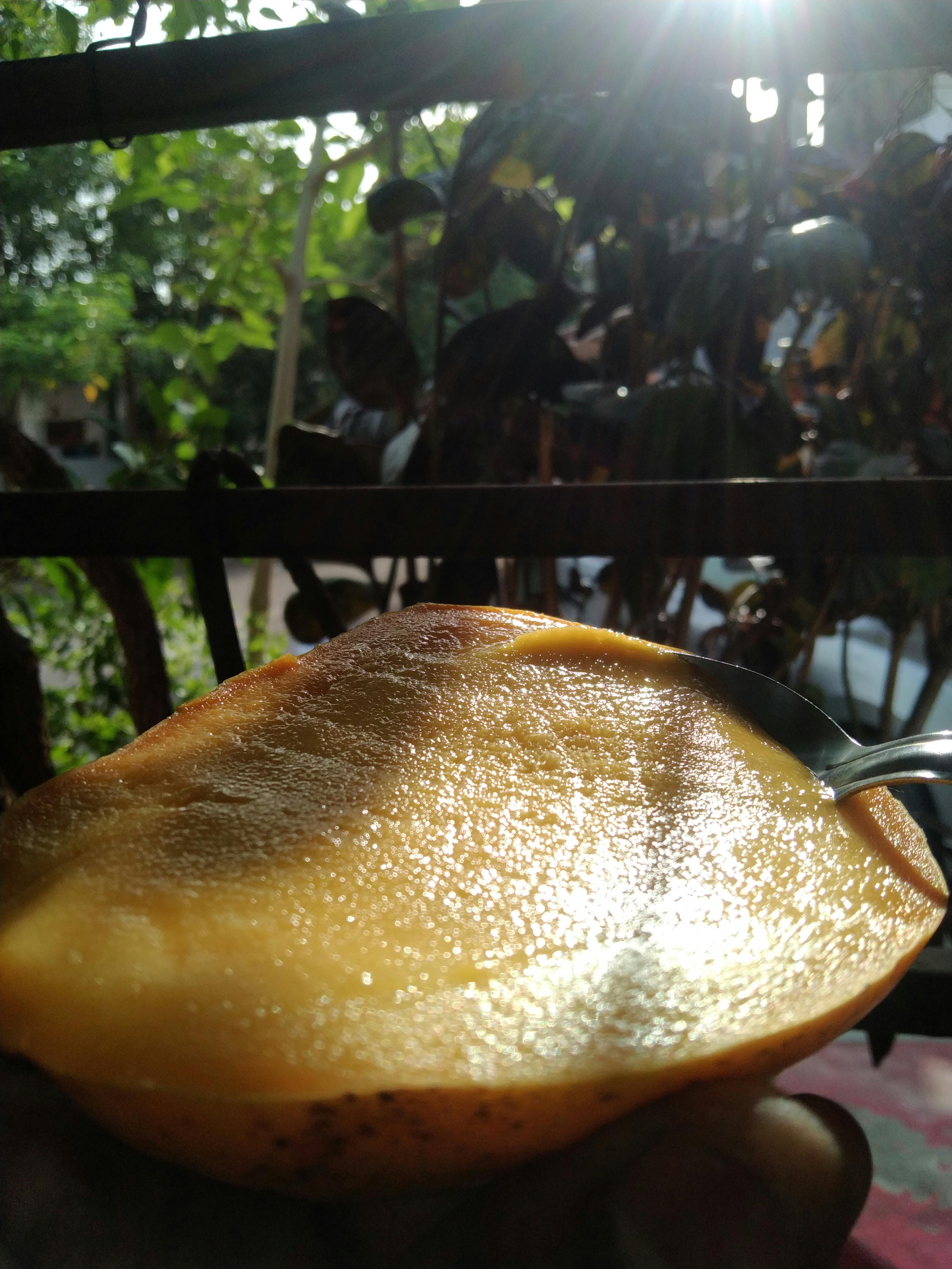 mohammad sameer - Photography