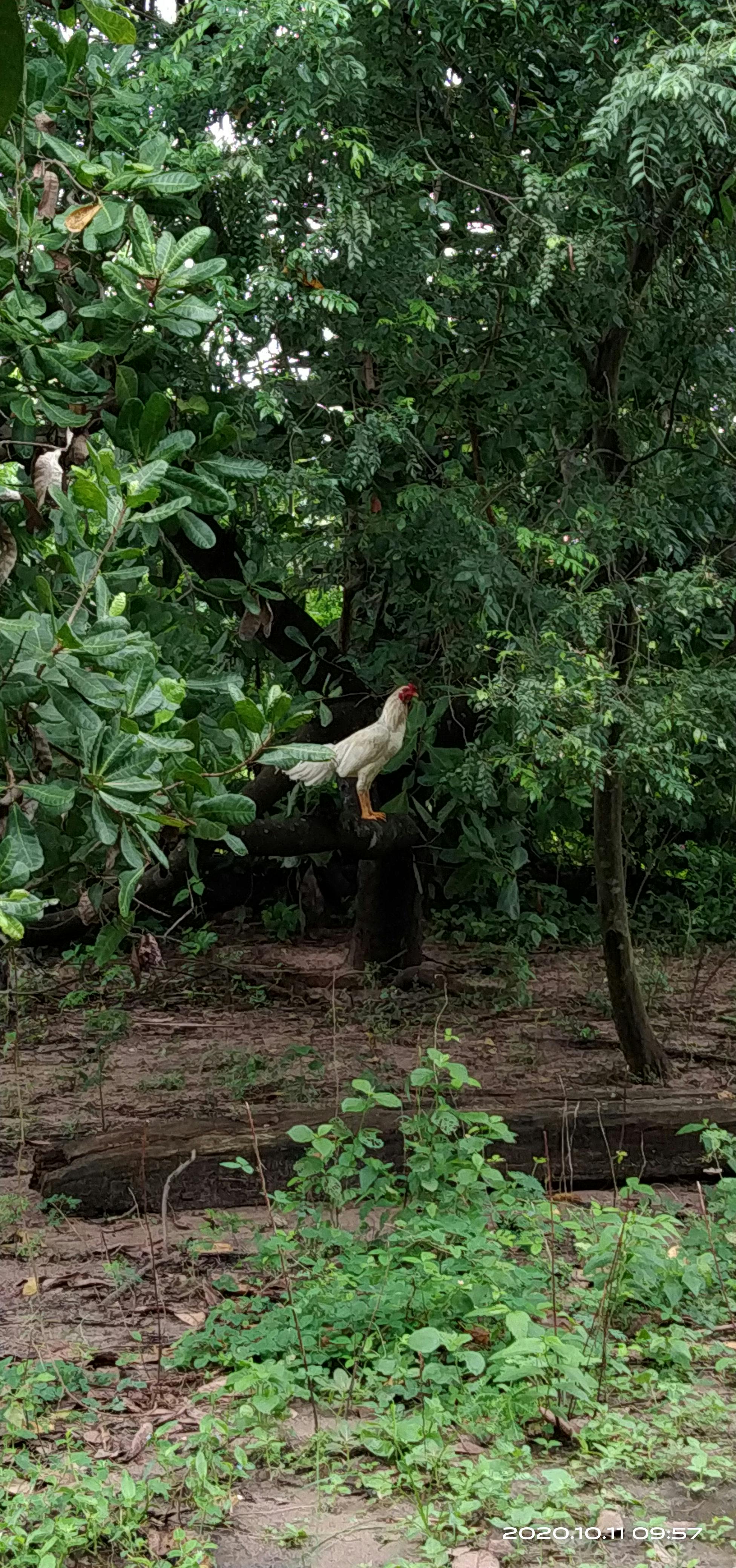 mohammad sameer - Photography