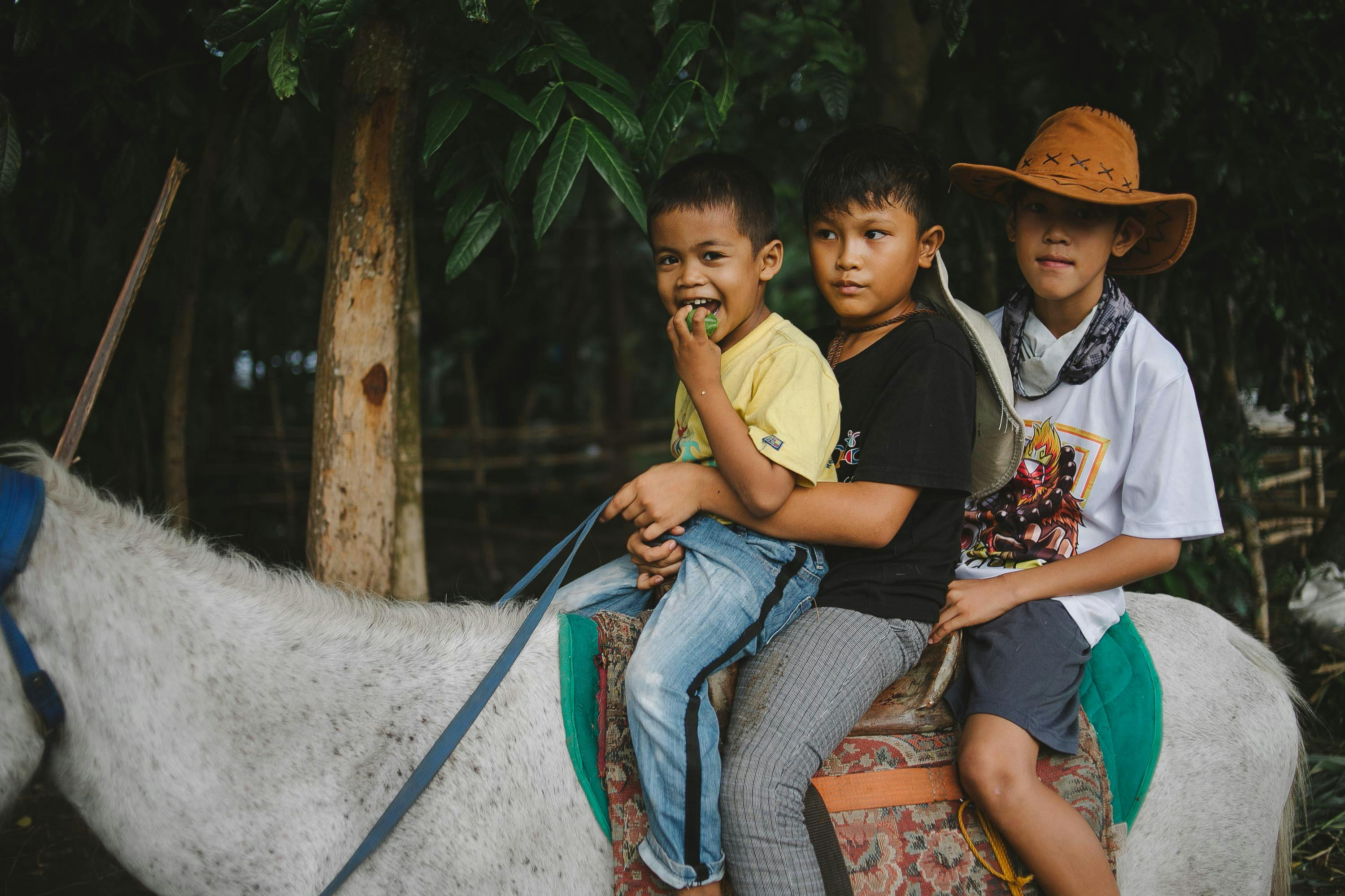 Boys Riding a Horse · Free Stock Photo