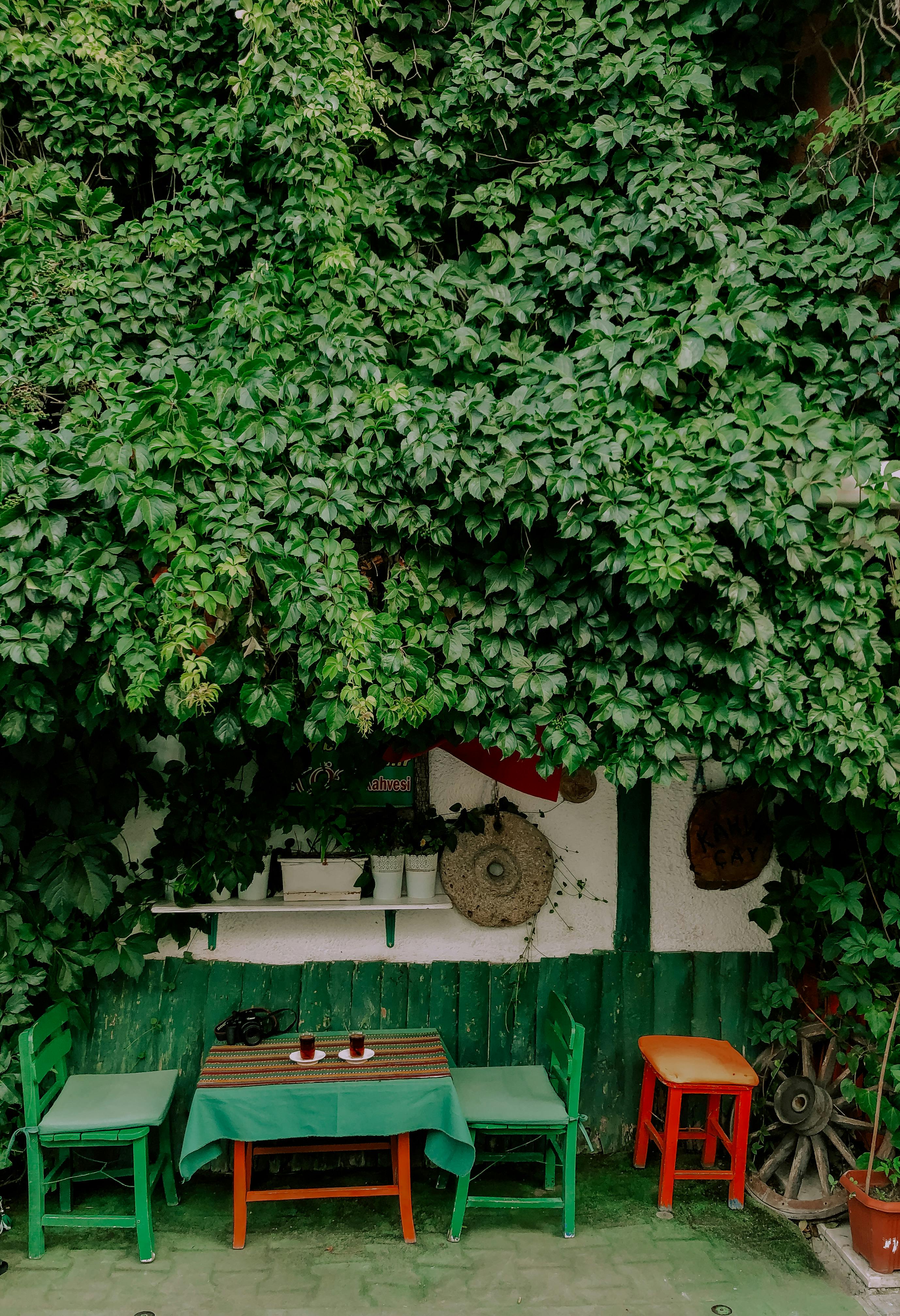 Table with Chairs Under the Green Tree · Free Stock Photo