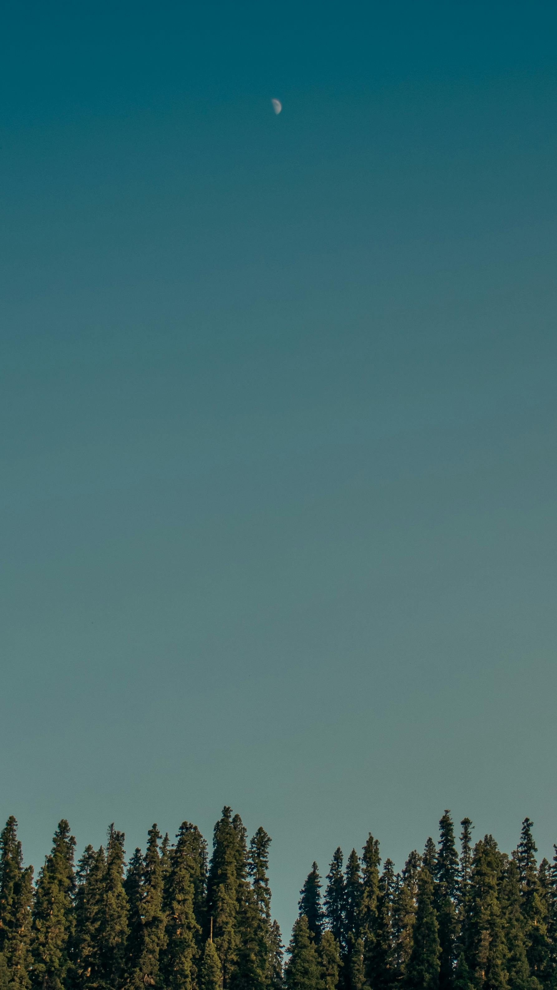 Moon Only Photos, Download Free Moon Only Stock Photos & HD Images