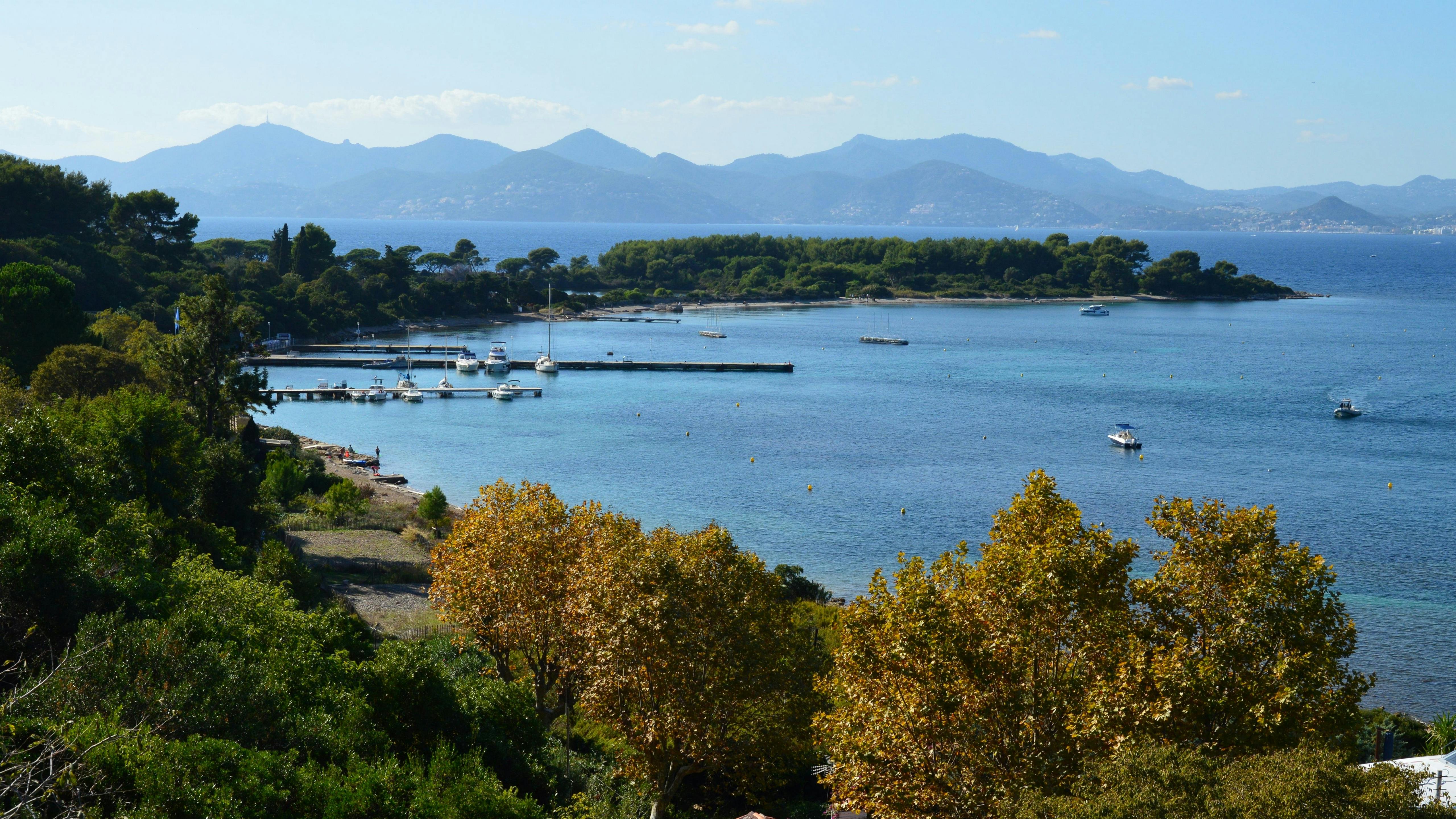 Motorboat Sunk on Sea Shore · Free Stock Photo