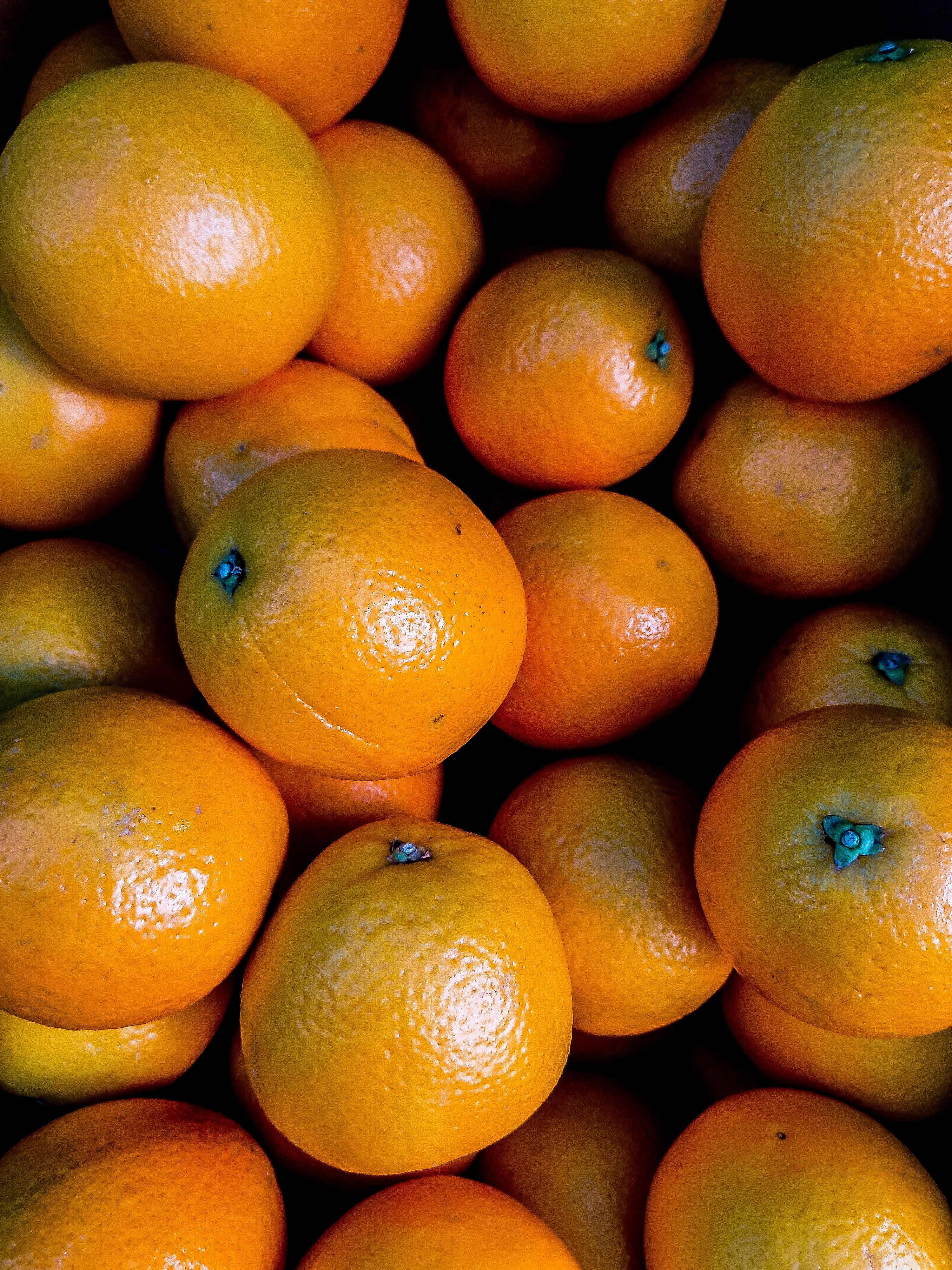 Orange Fruits in Close Up Photography · Free Stock Photo
