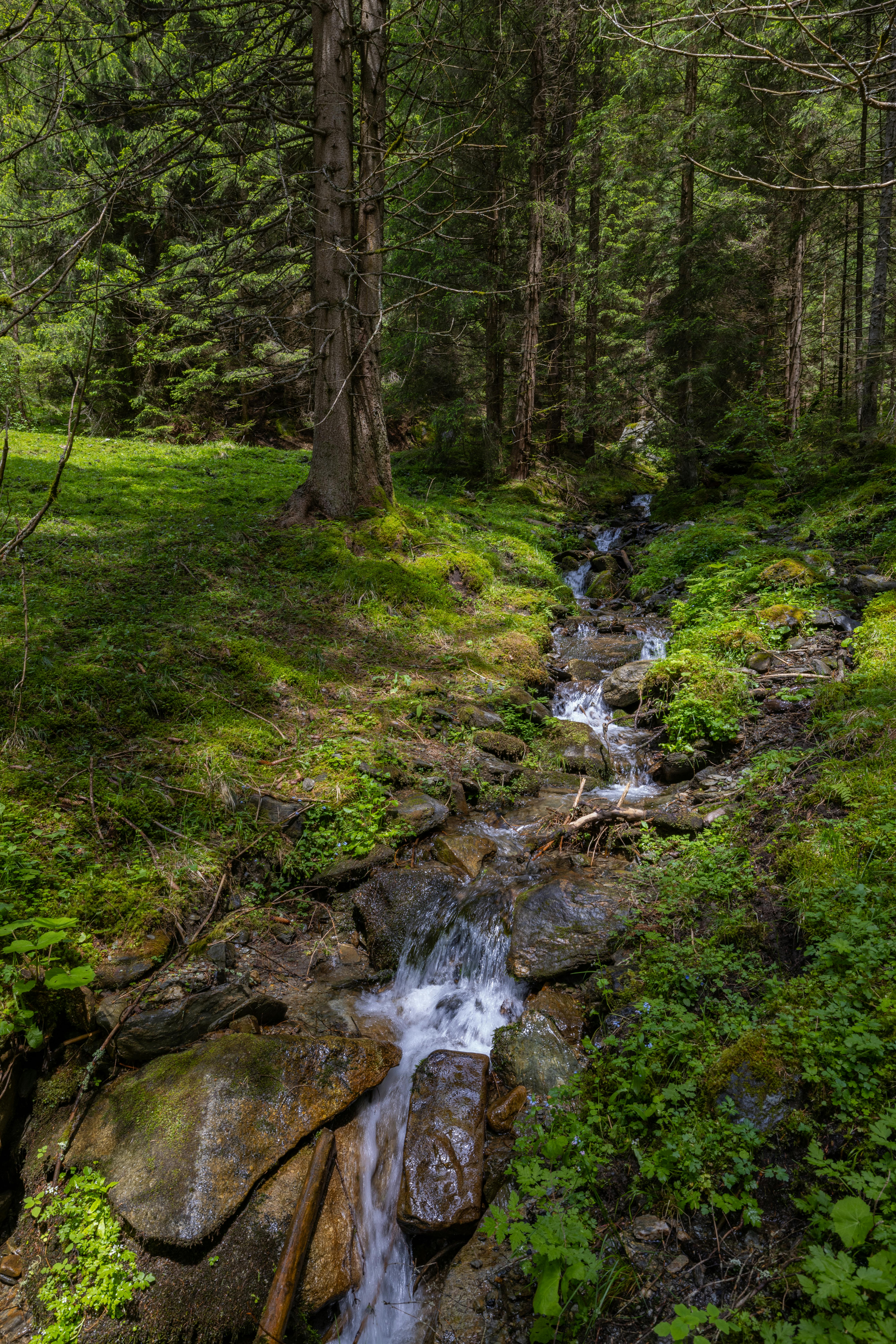 Rocky Stream in the Mountain · Free Stock Photo