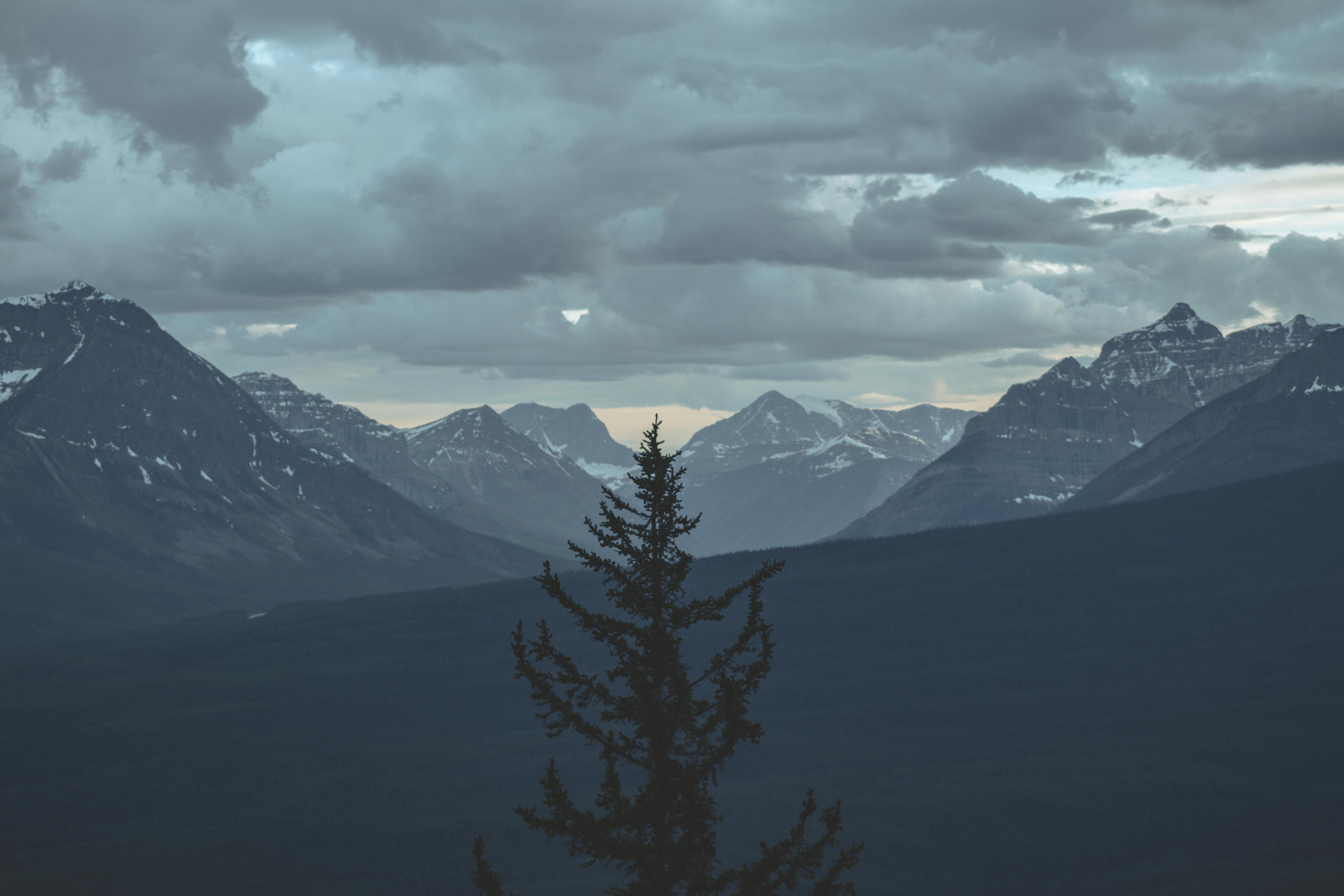 Trees on Brown and Snowy Mountains · Free Stock Photo