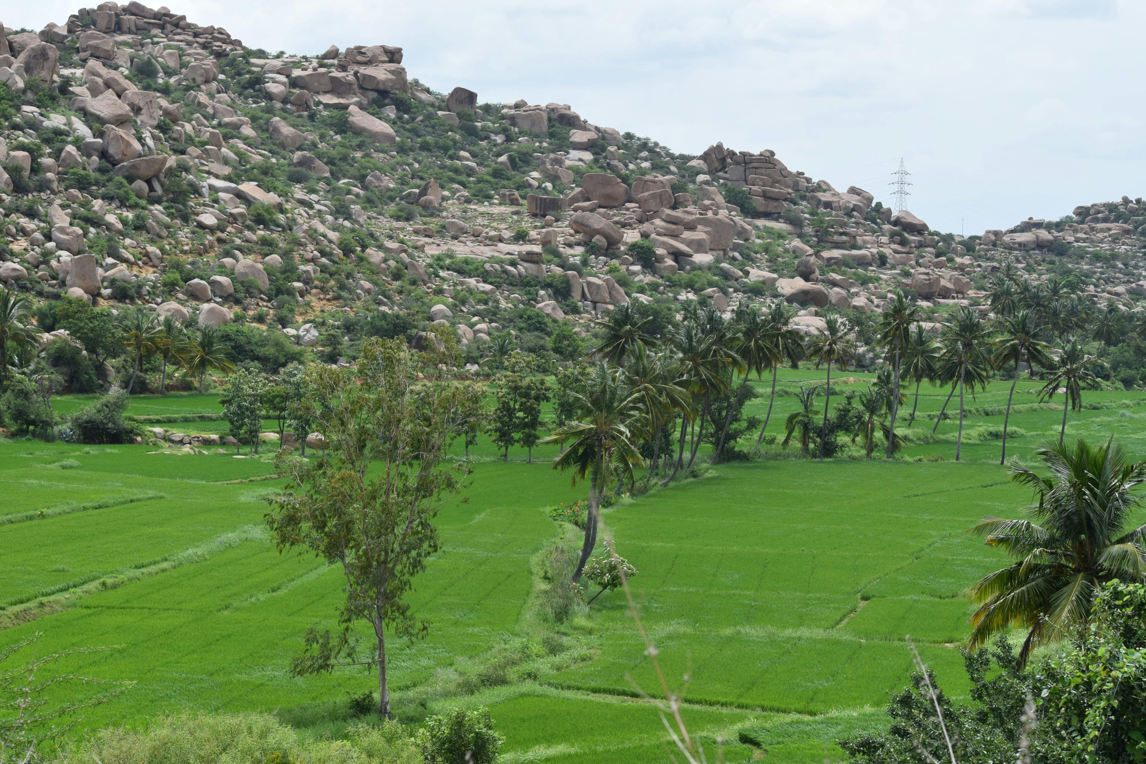 Joyston Judah - Photography