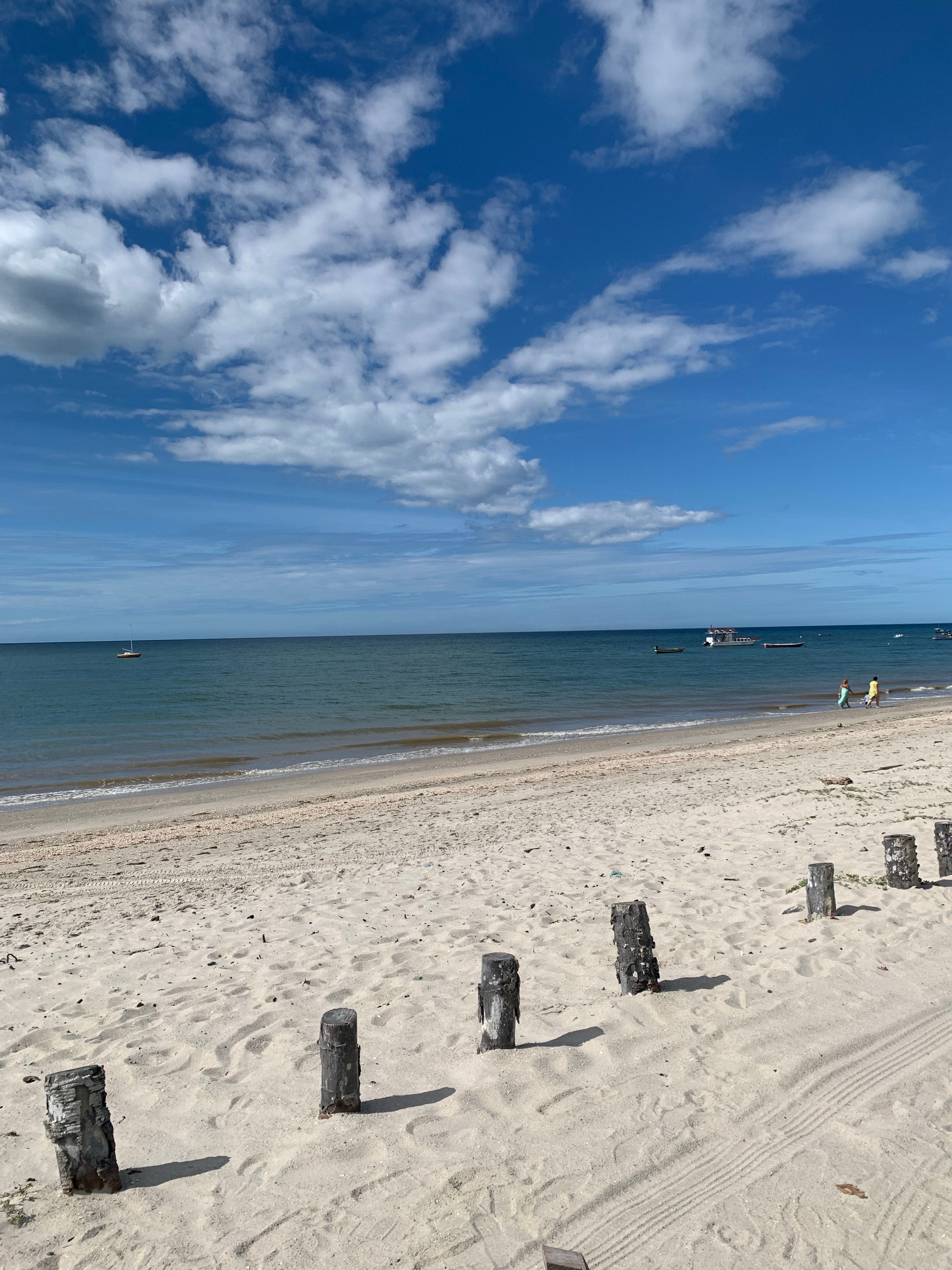 Photo of a Wooden Posts at a Beach · Free Stock Photo