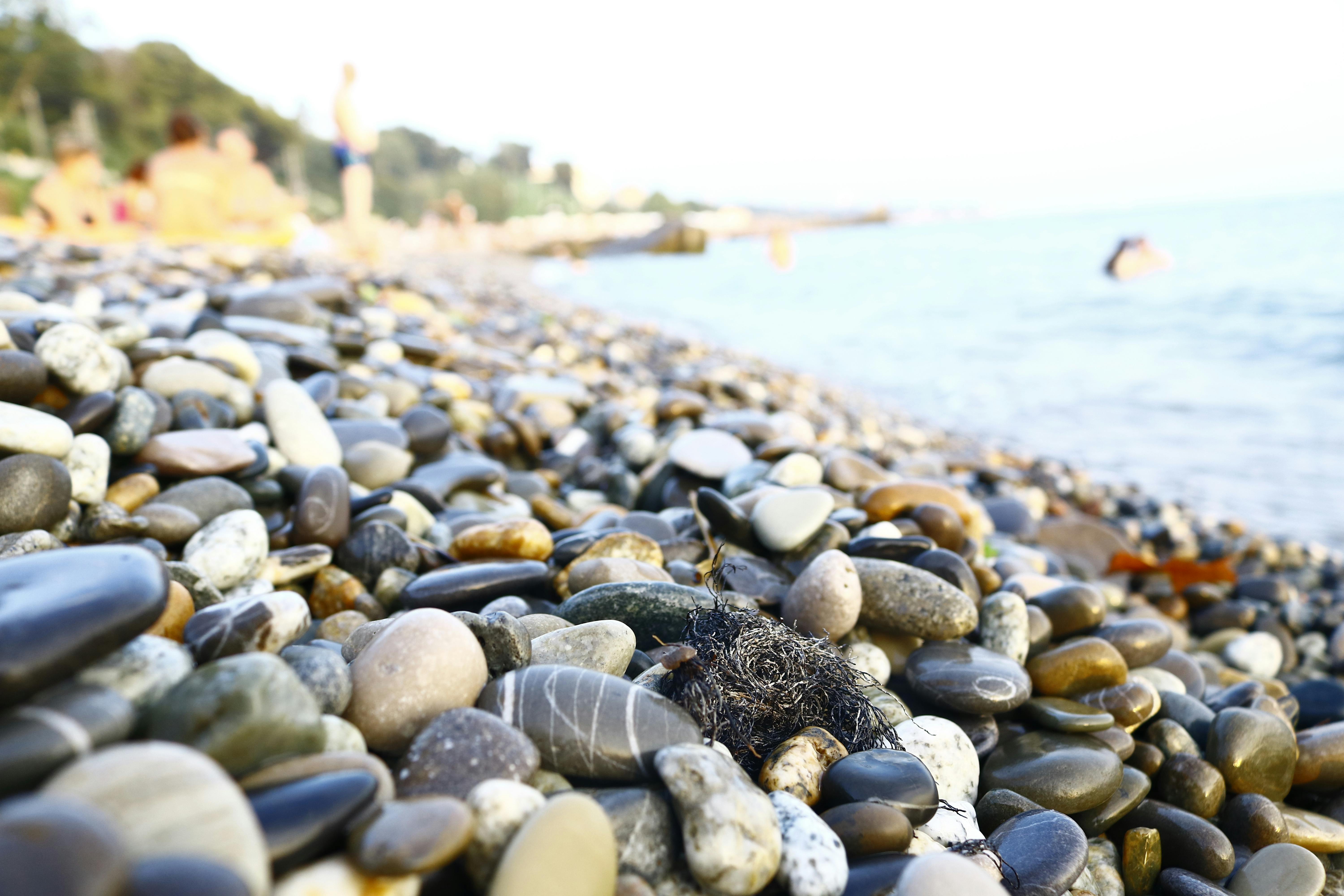 Pebbles By The Seashore · Free Stock Photo