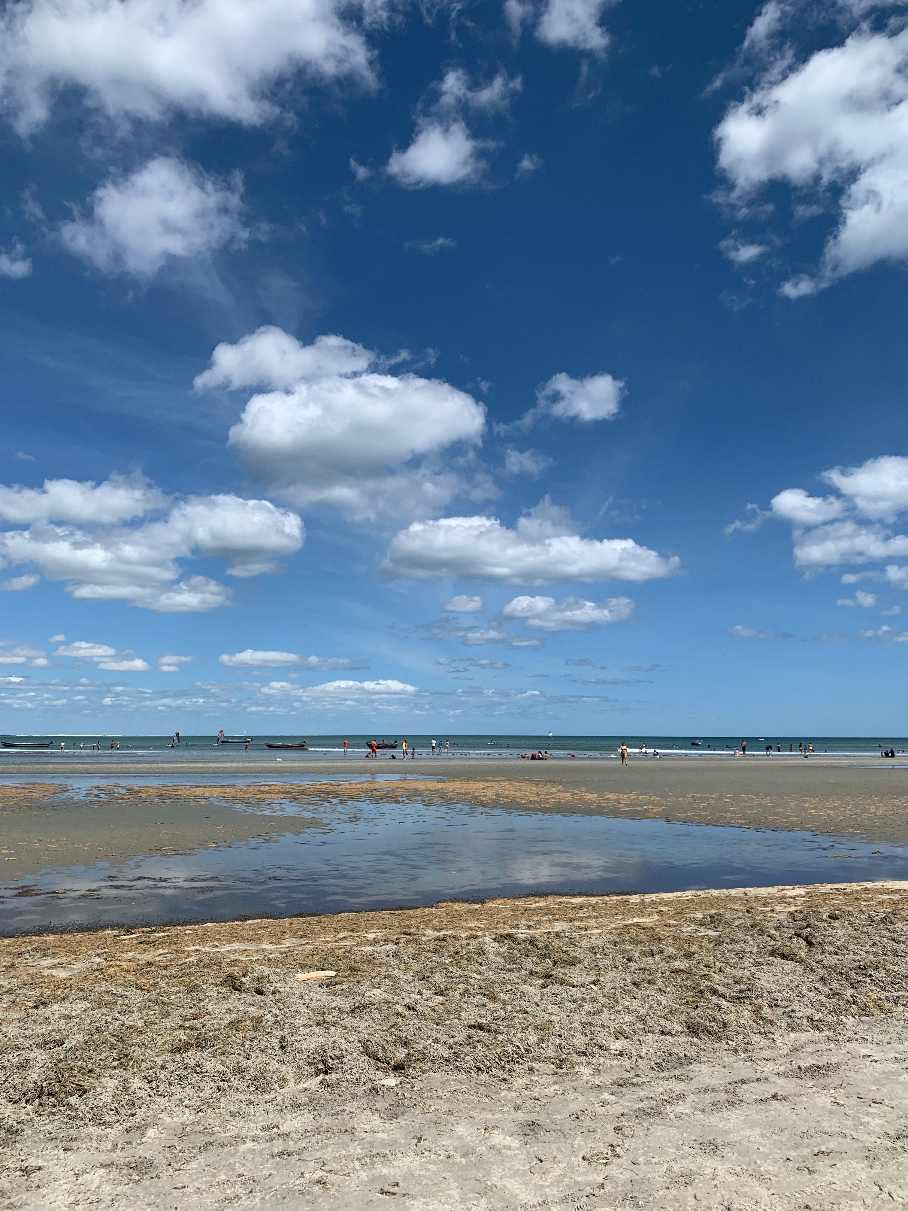Seashore under Blue Sky · Free Stock Photo