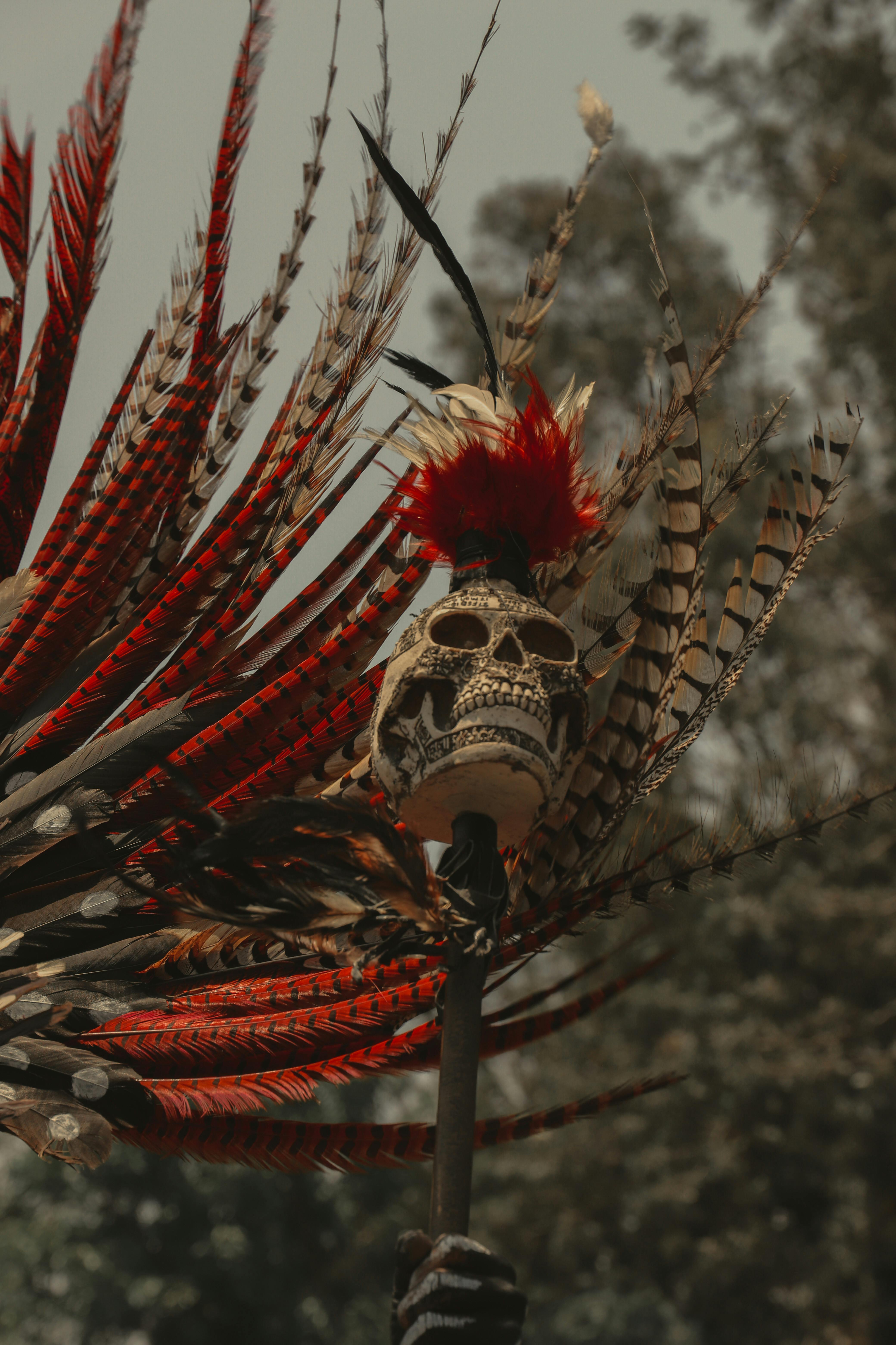 Man Wearing Ritual Costume during the Day of the Death in Mexico · Free ...
