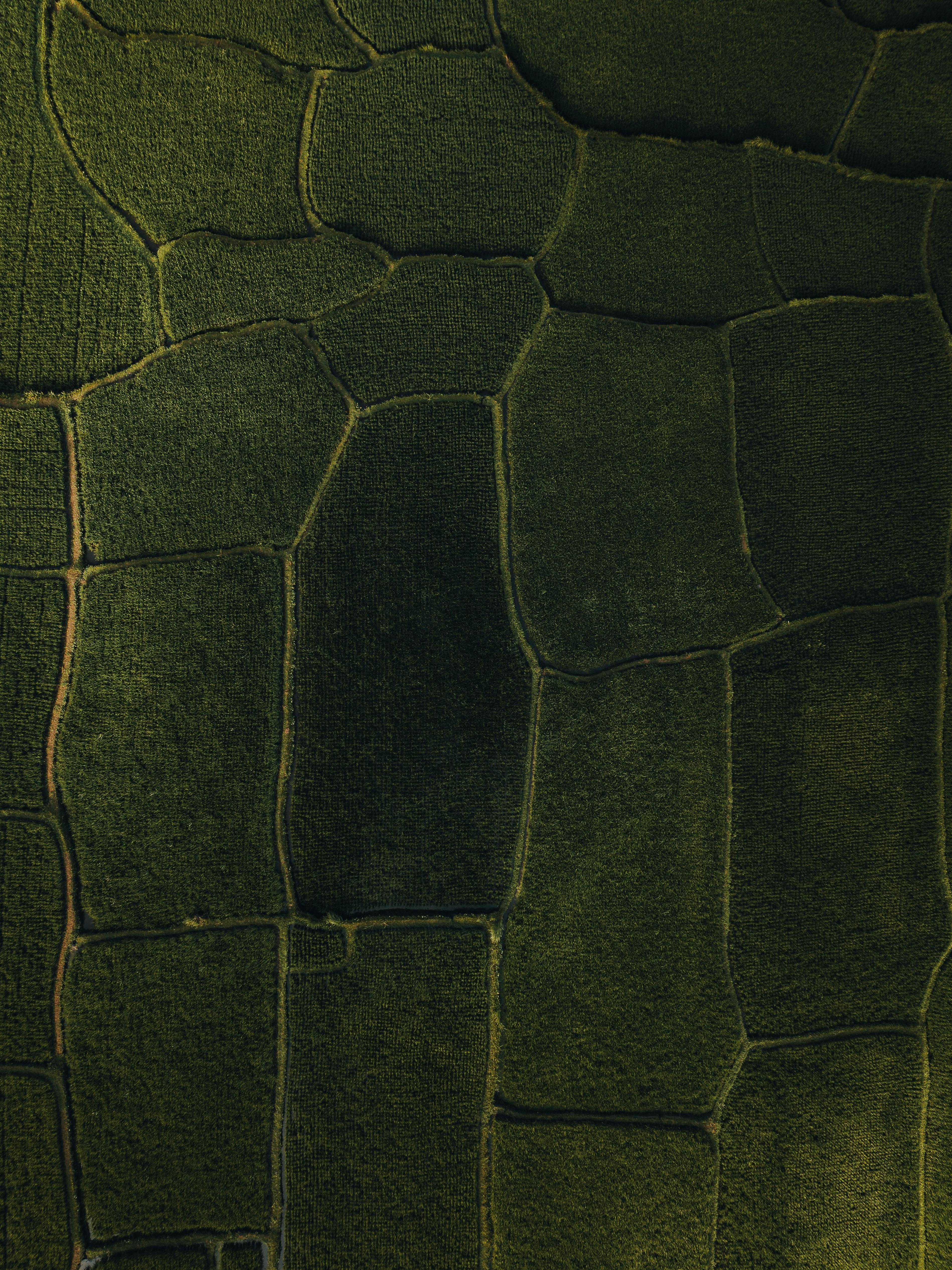 Field Textures Photos, Download The BEST Free Field Textures Stock ...