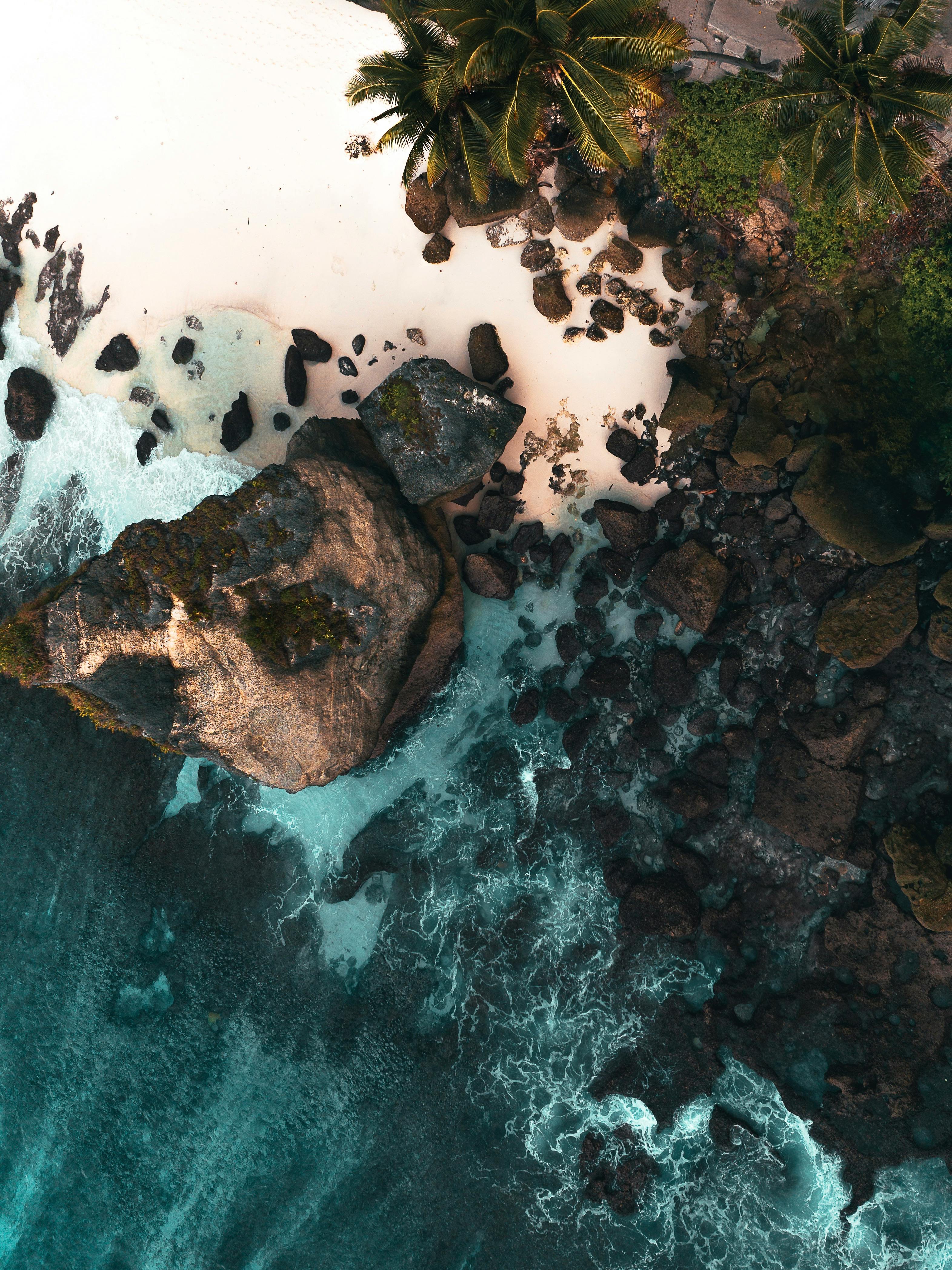 Aerial View of a Tidal Pool · Free Stock Photo