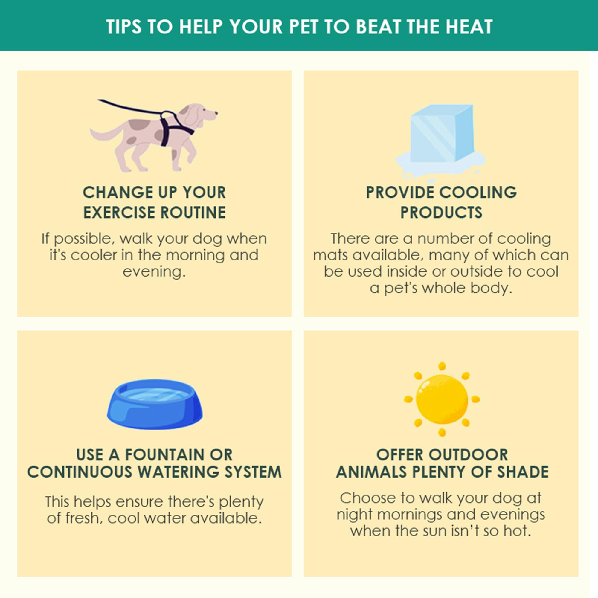 How to Keep Dogs Cool In Summer - 8 Tips | petietec