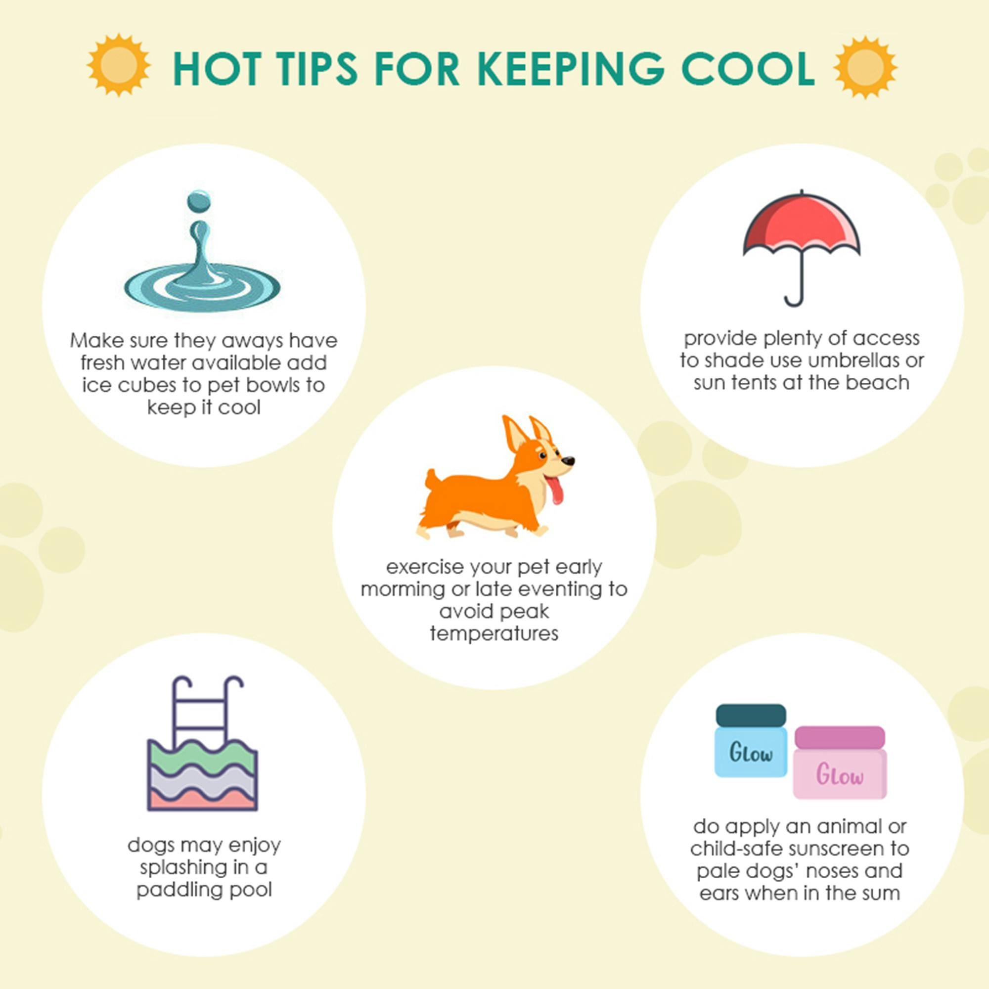 How to Keep Dogs Cool In Summer - 8 Tips | petietec
