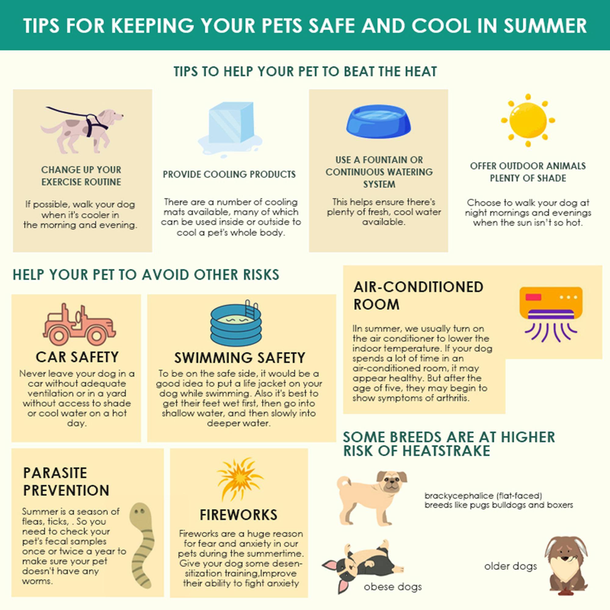 How to Keep Dogs Cool In Summer - 8 Tips | petietec