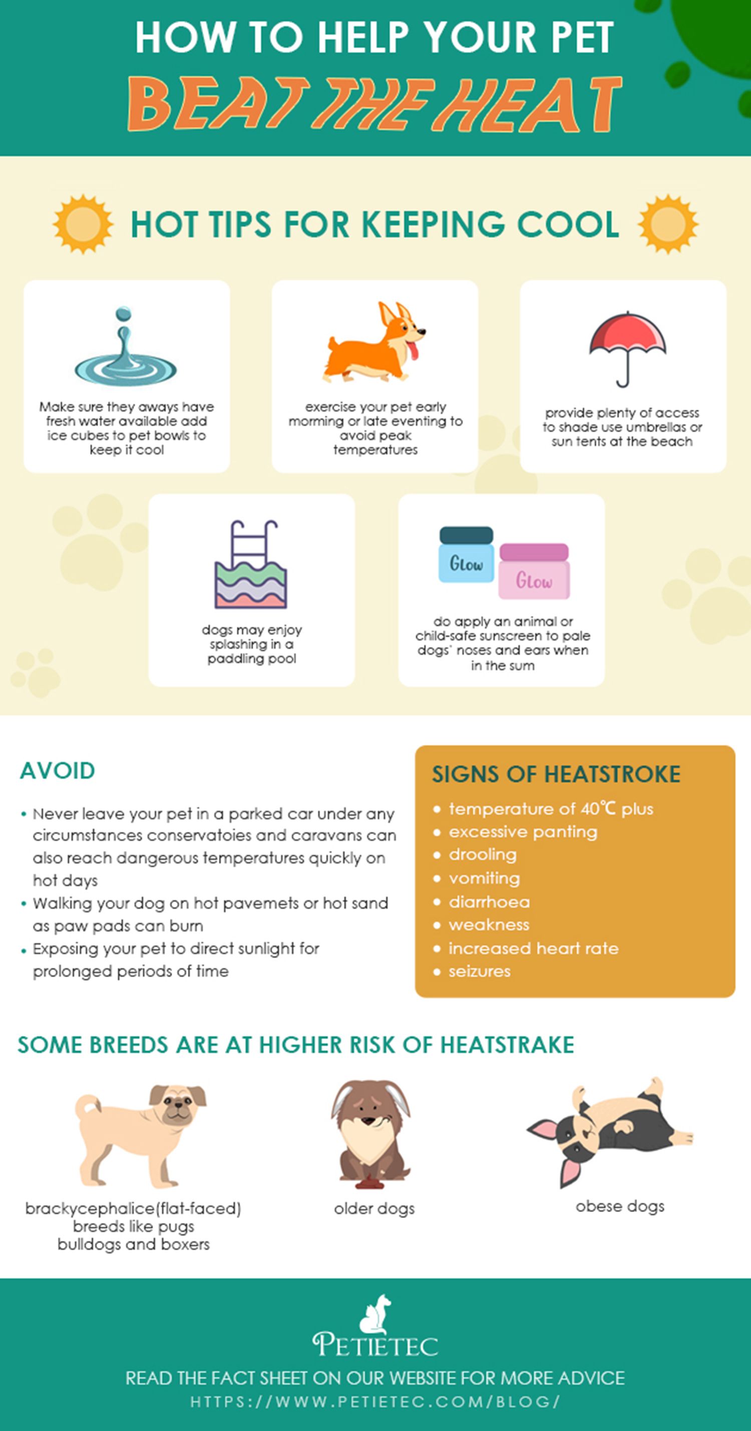 How to Keep Dogs Cool In Summer - 8 Tips | petietec