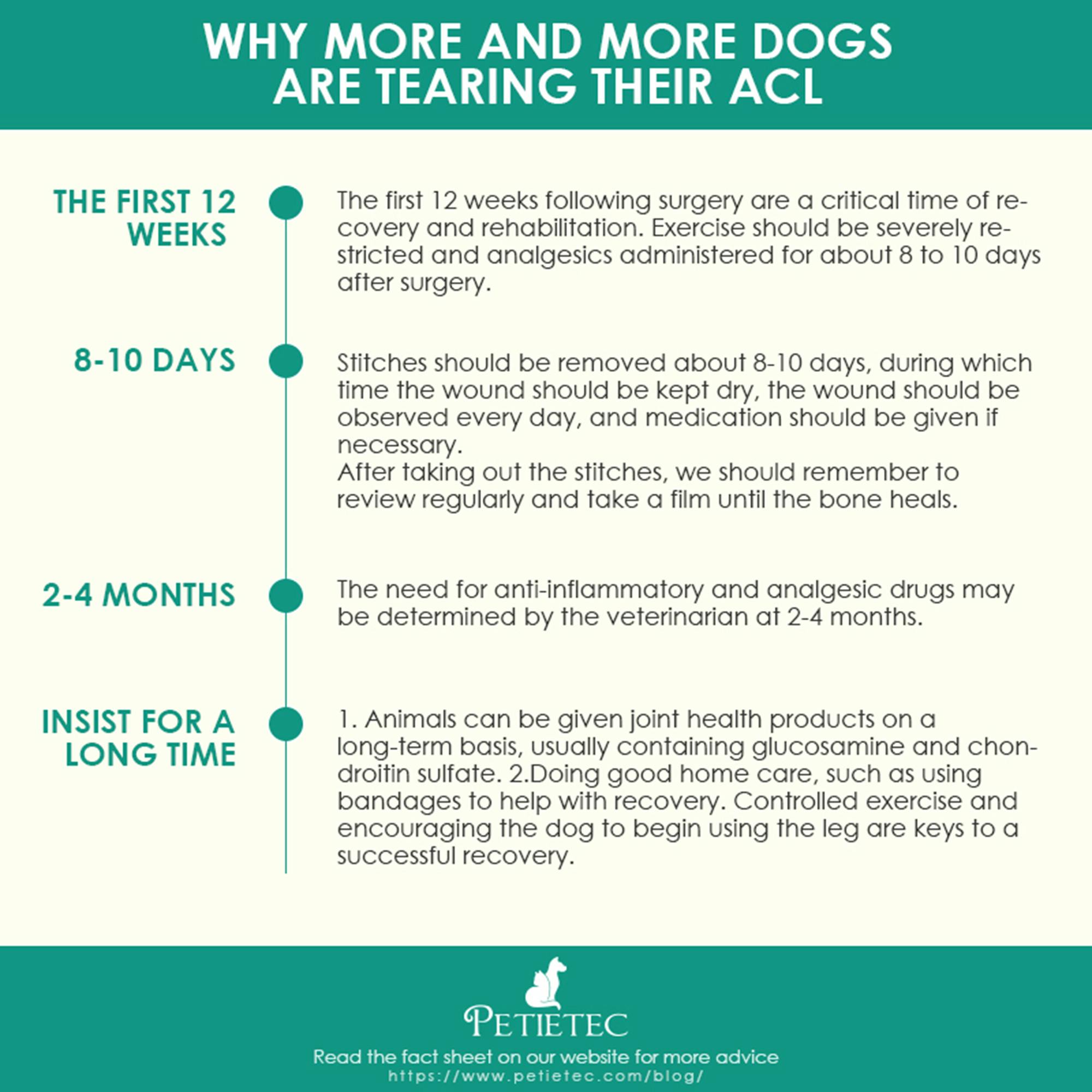 Why do so many dogs tear both ACL？ How do I prevent my dog's ACL from ...