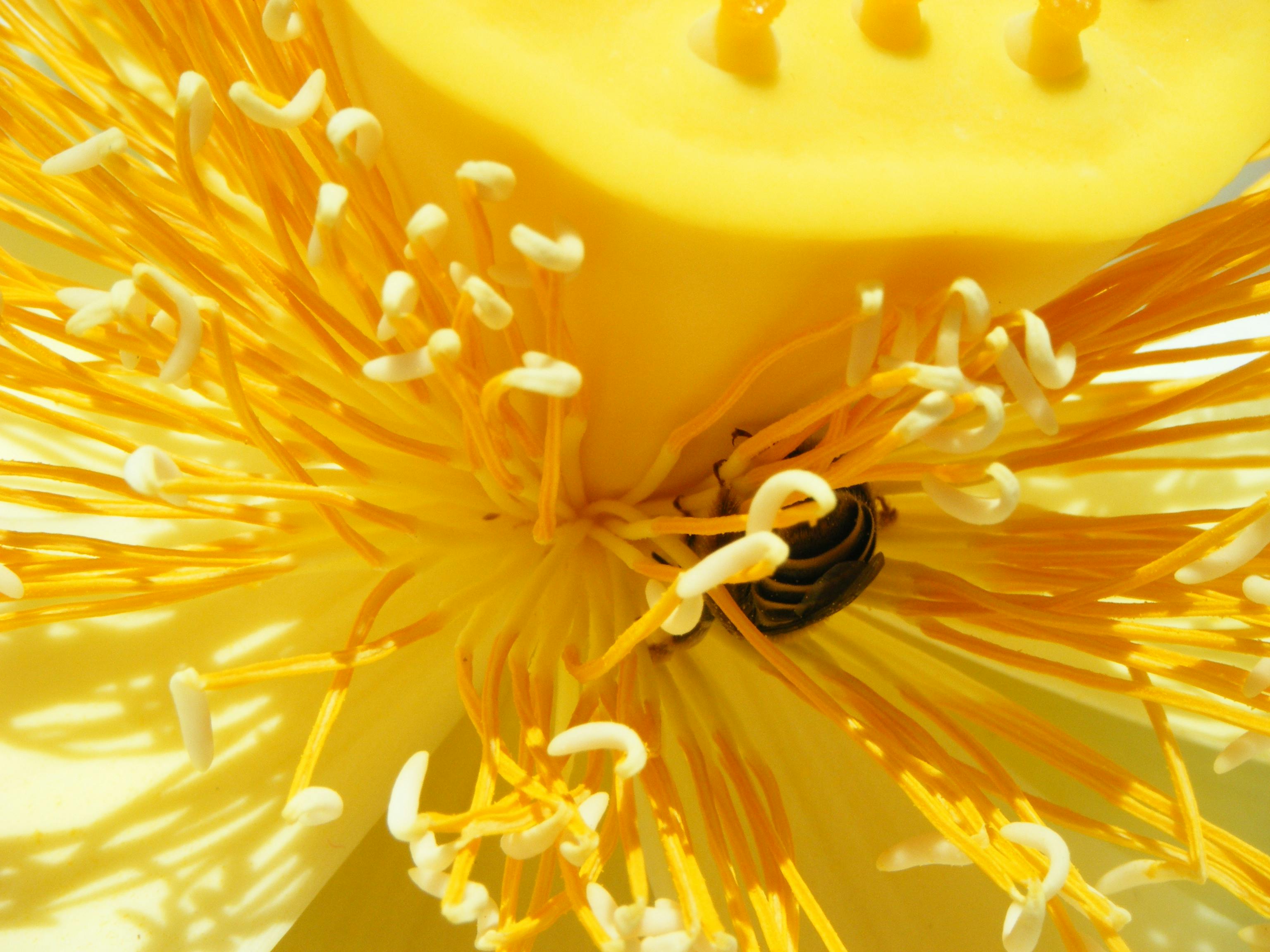 ROTIMI FEMI - Fotografía