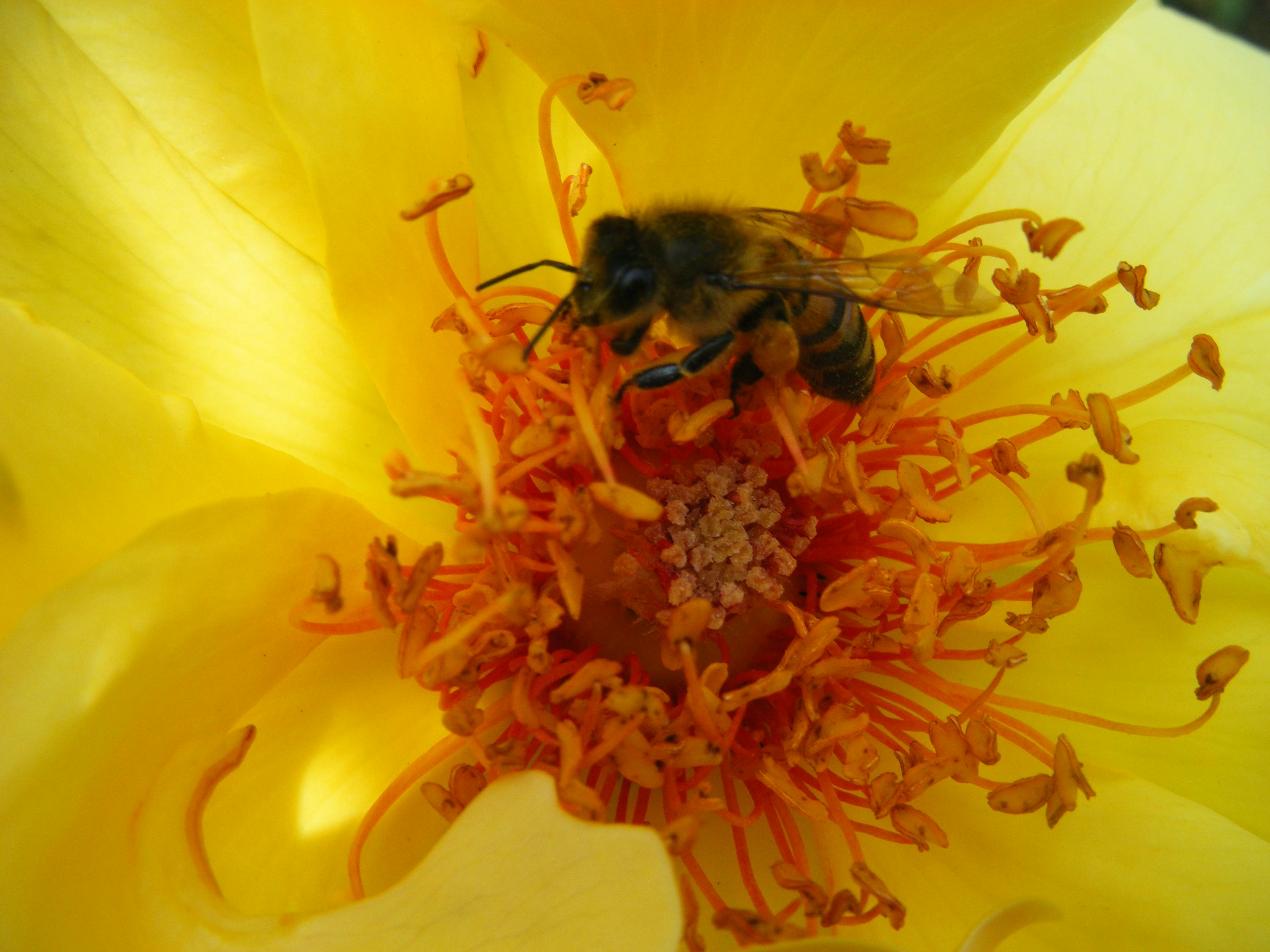 ROTIMI FEMI - Fotografía