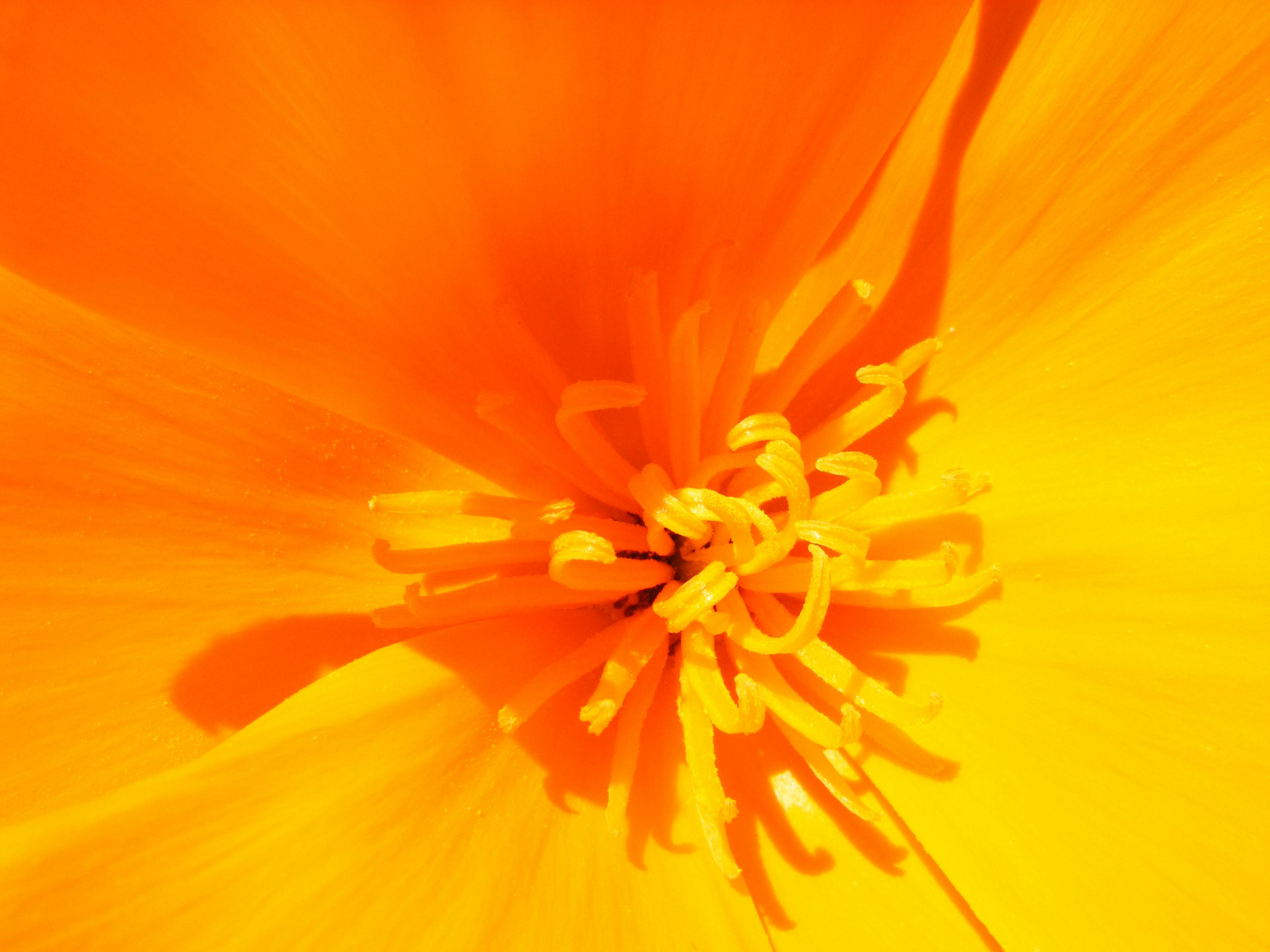 ROTIMI FEMI - 사진