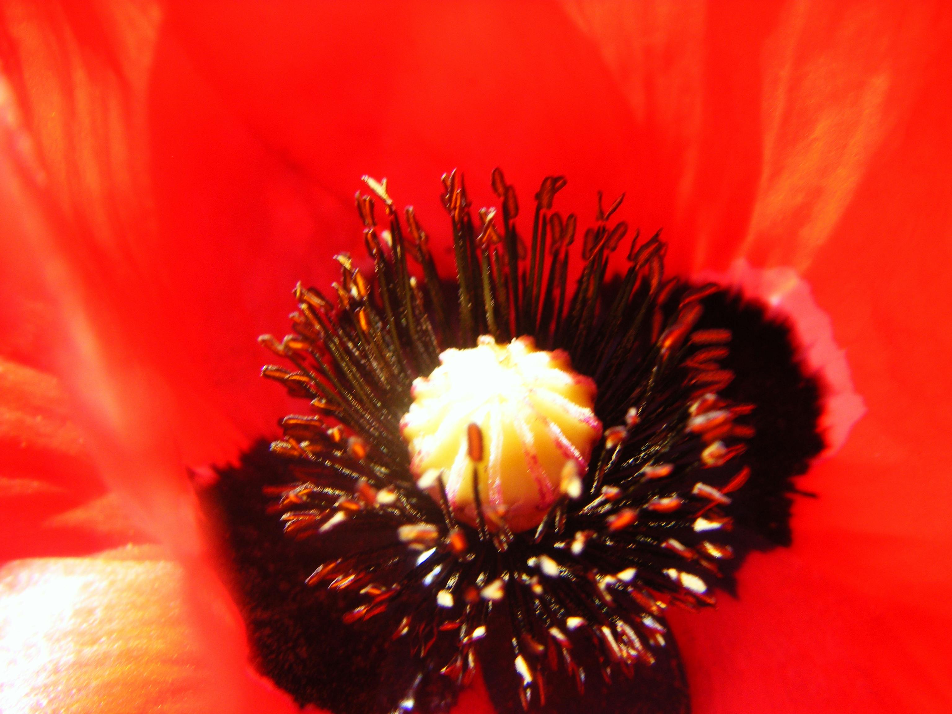 ROTIMI FEMI - 摄影