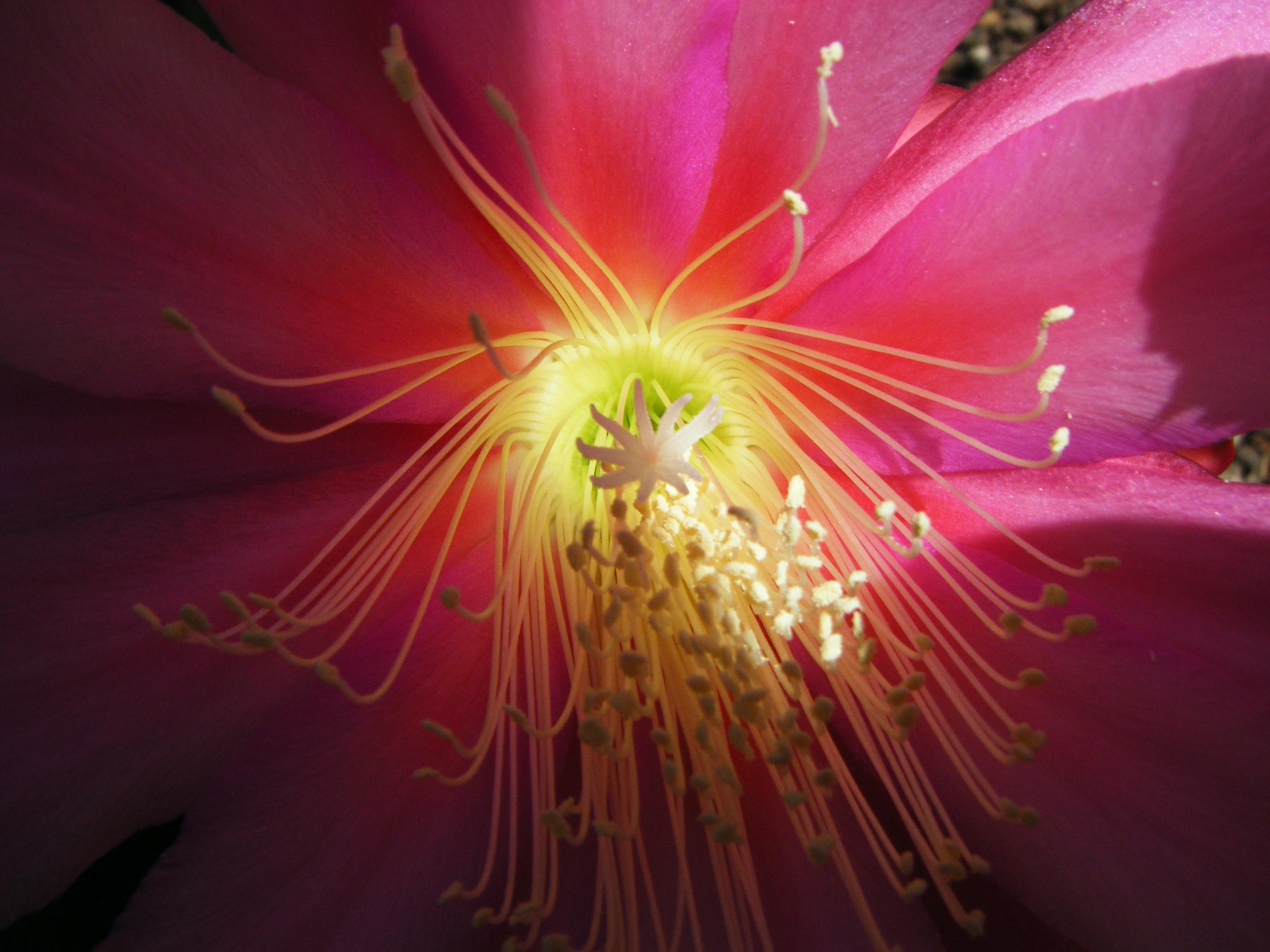 ROTIMI FEMI - Photography