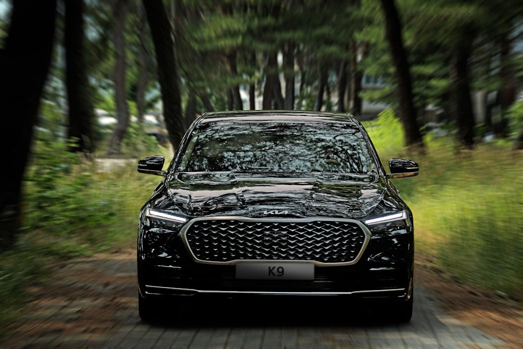 LAPD K9 Unit: Protecting and Serving Our Community Safely