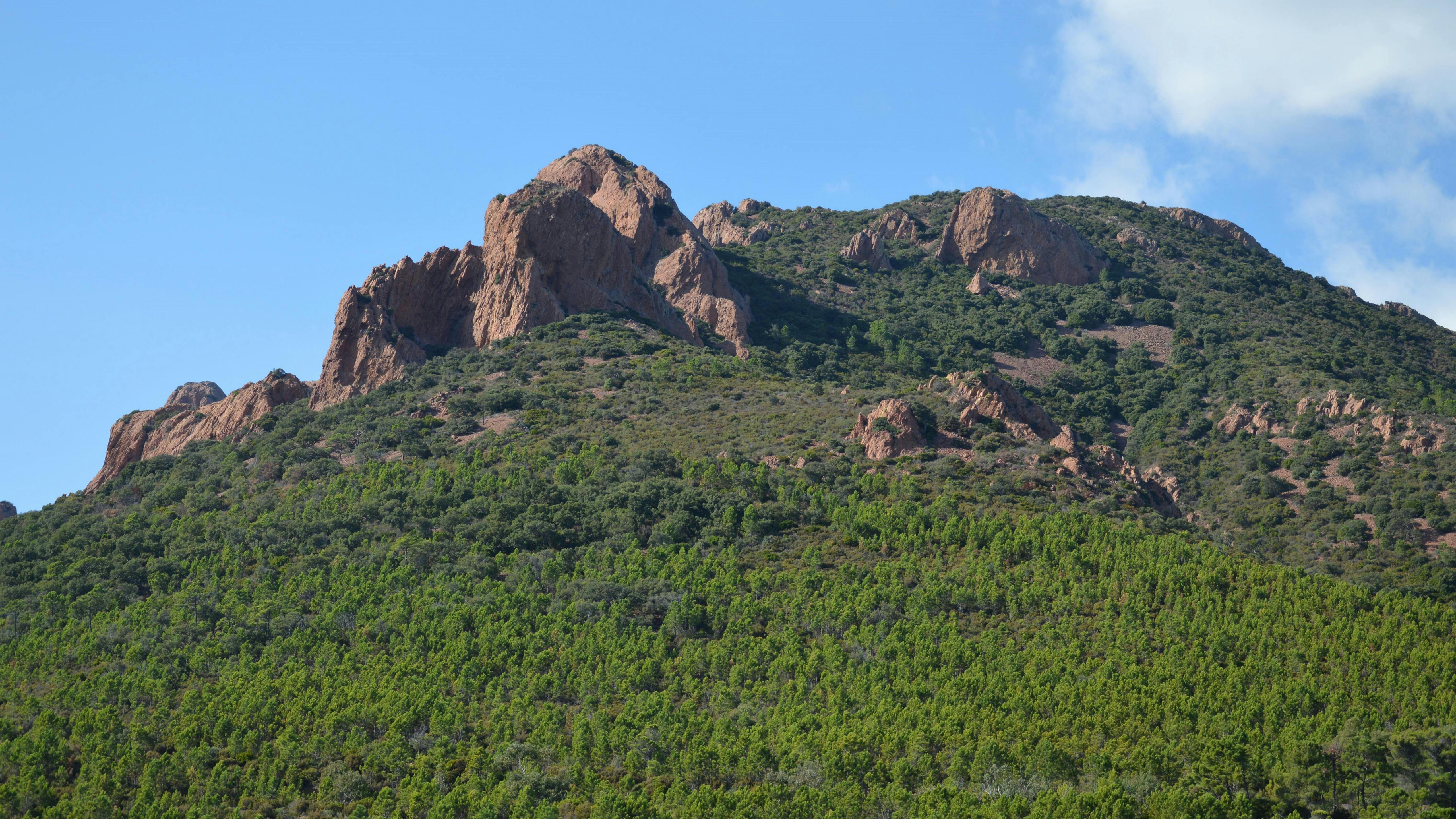 Rocks on the Mountain · Free Stock Photo