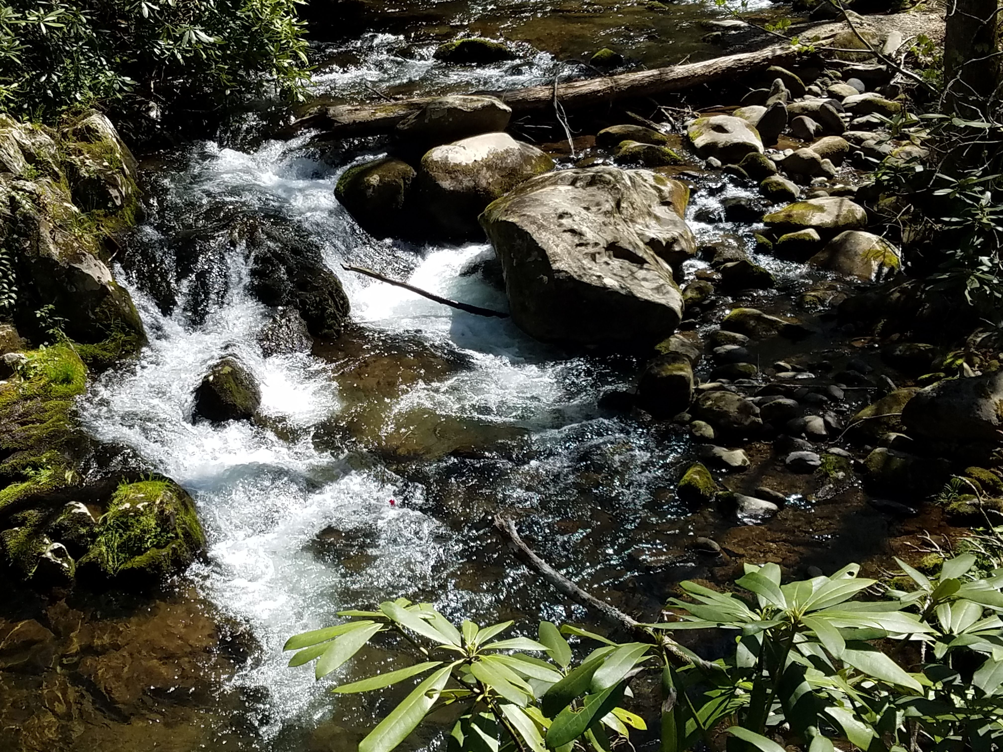 Free stock photo of mountain stream, rocks, running water - Stock Image ...