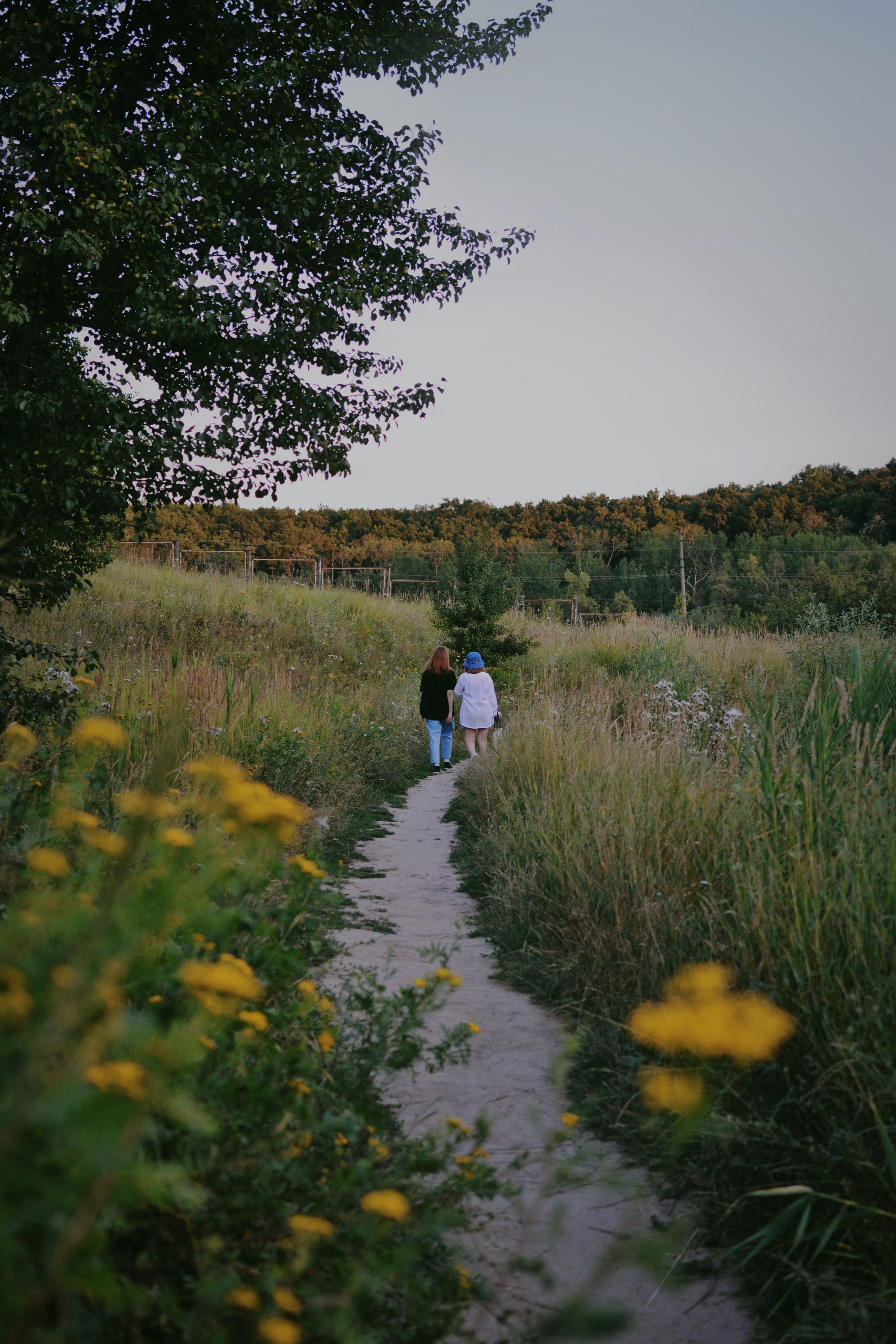 Women Walking on Walk Path · Free Stock Photo