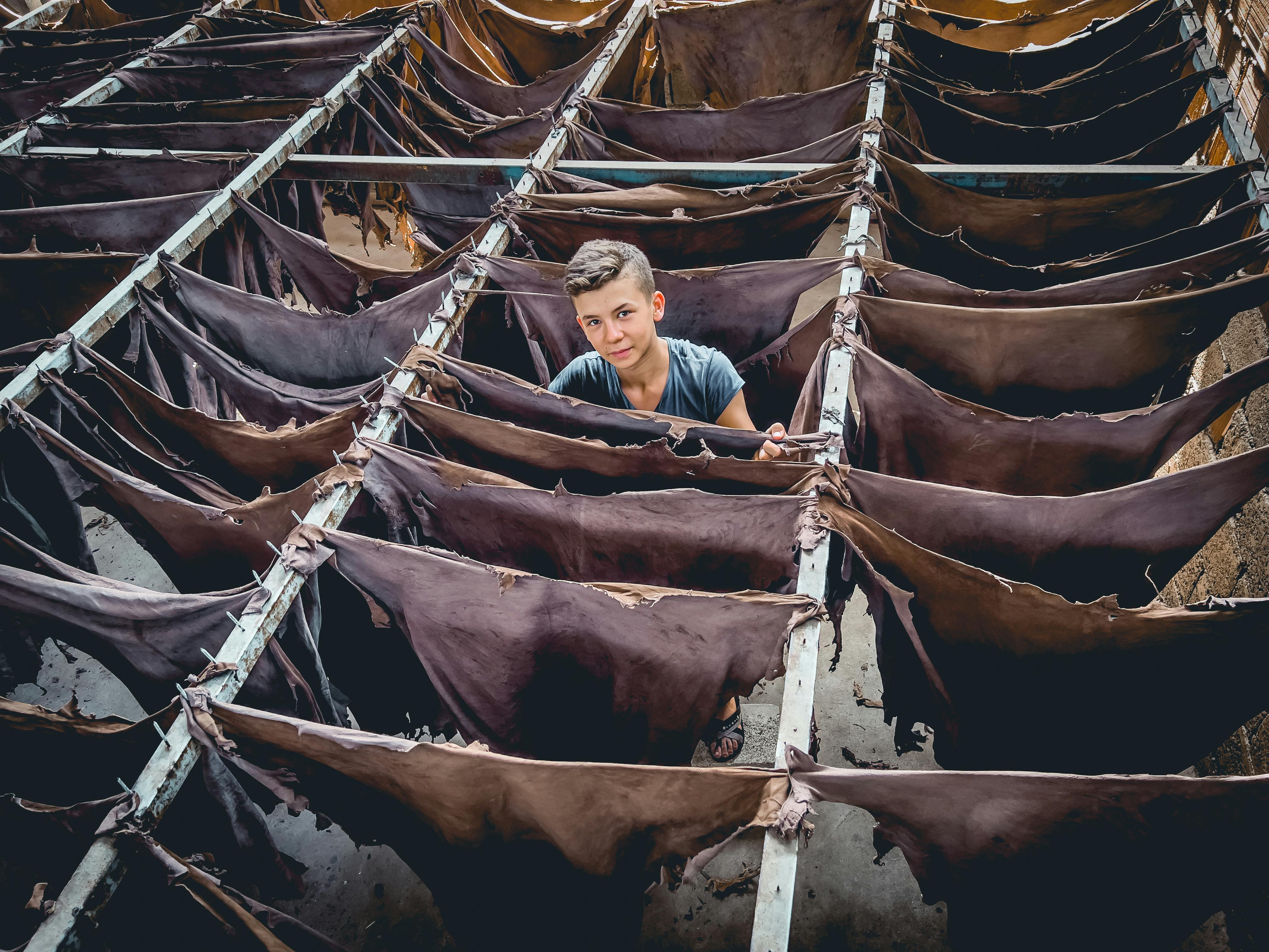 Young Boy Hanging Animal Hide · Free Stock Photo