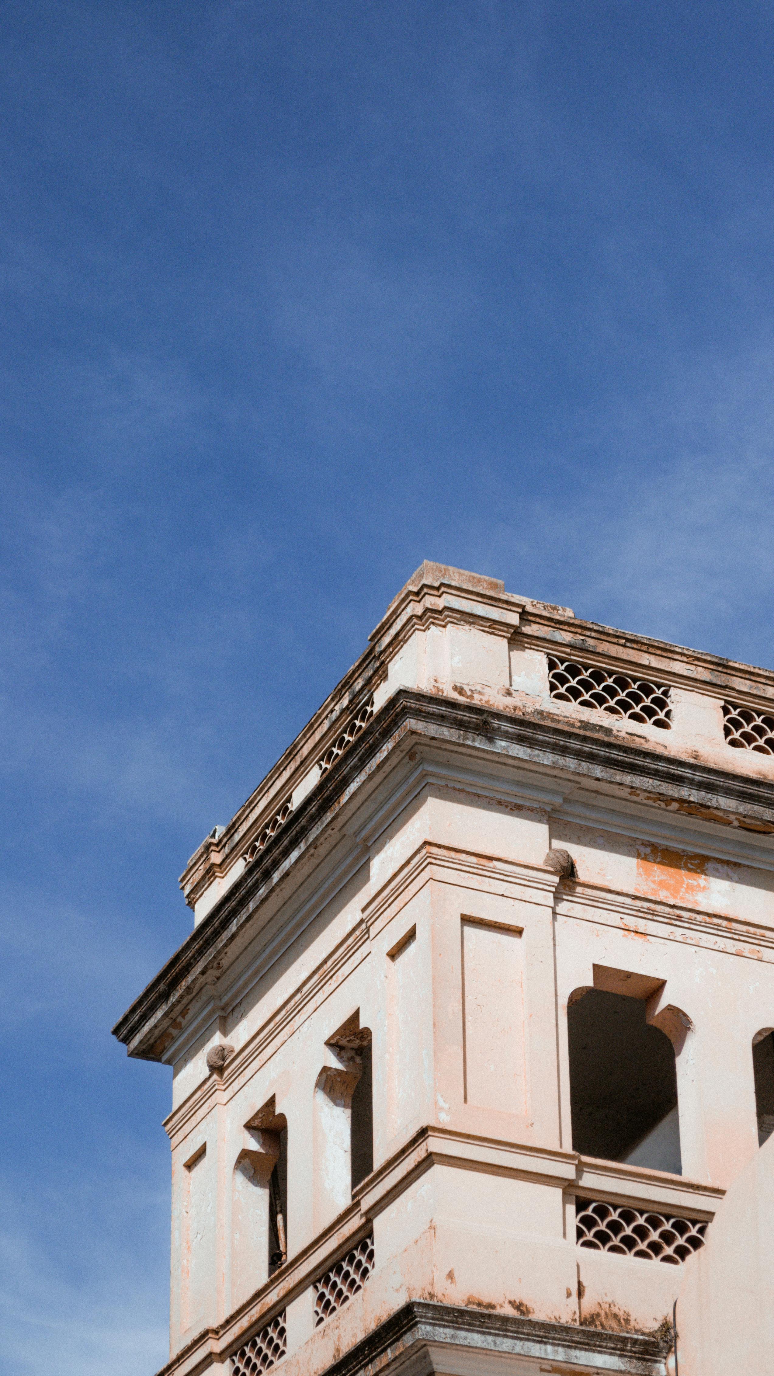 Windows with Mesh · Free Stock Photo