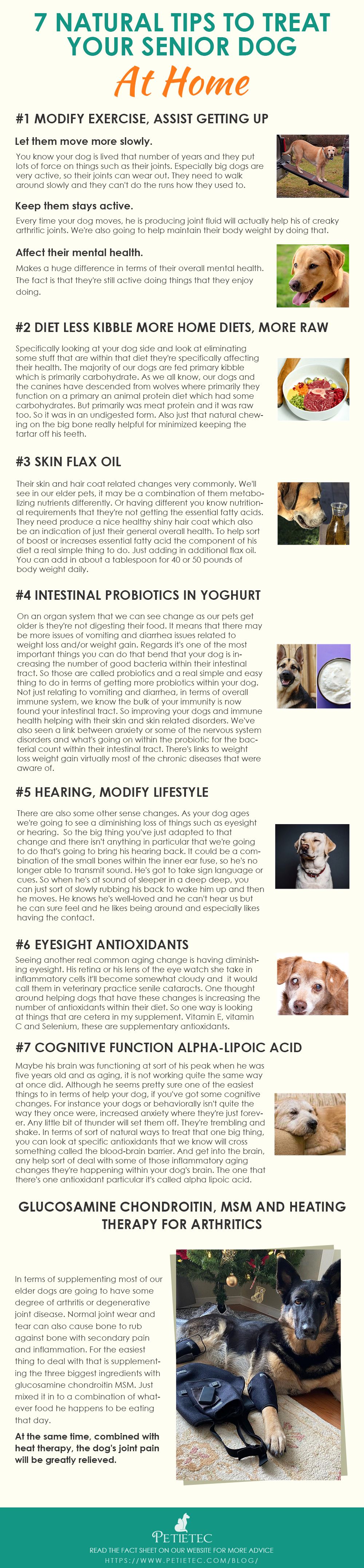 8 Natural Tips To Treat Your Senior Dog At Home | petietec
