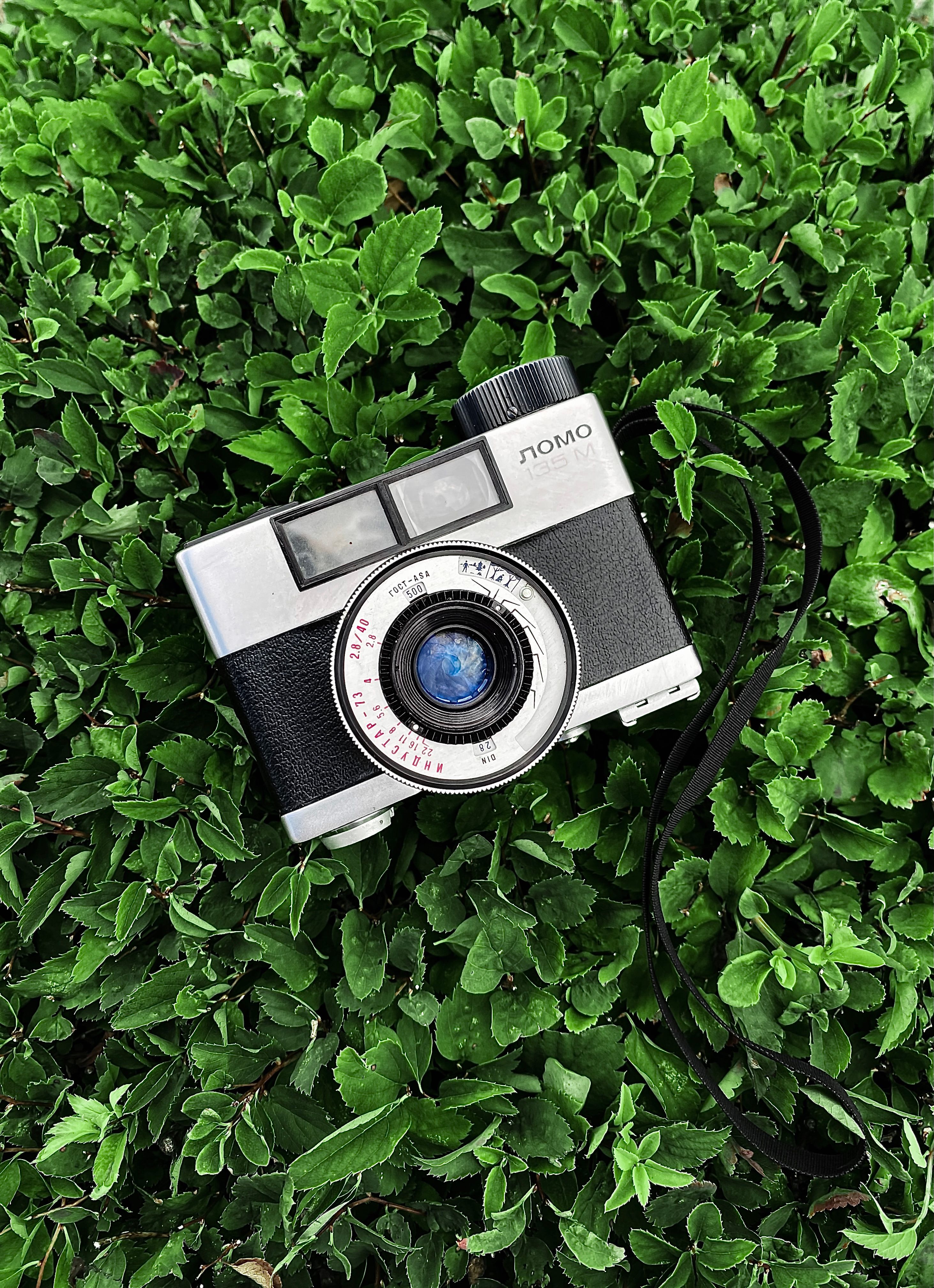 Camera Lying Down on Green Plants · Free Stock Photo