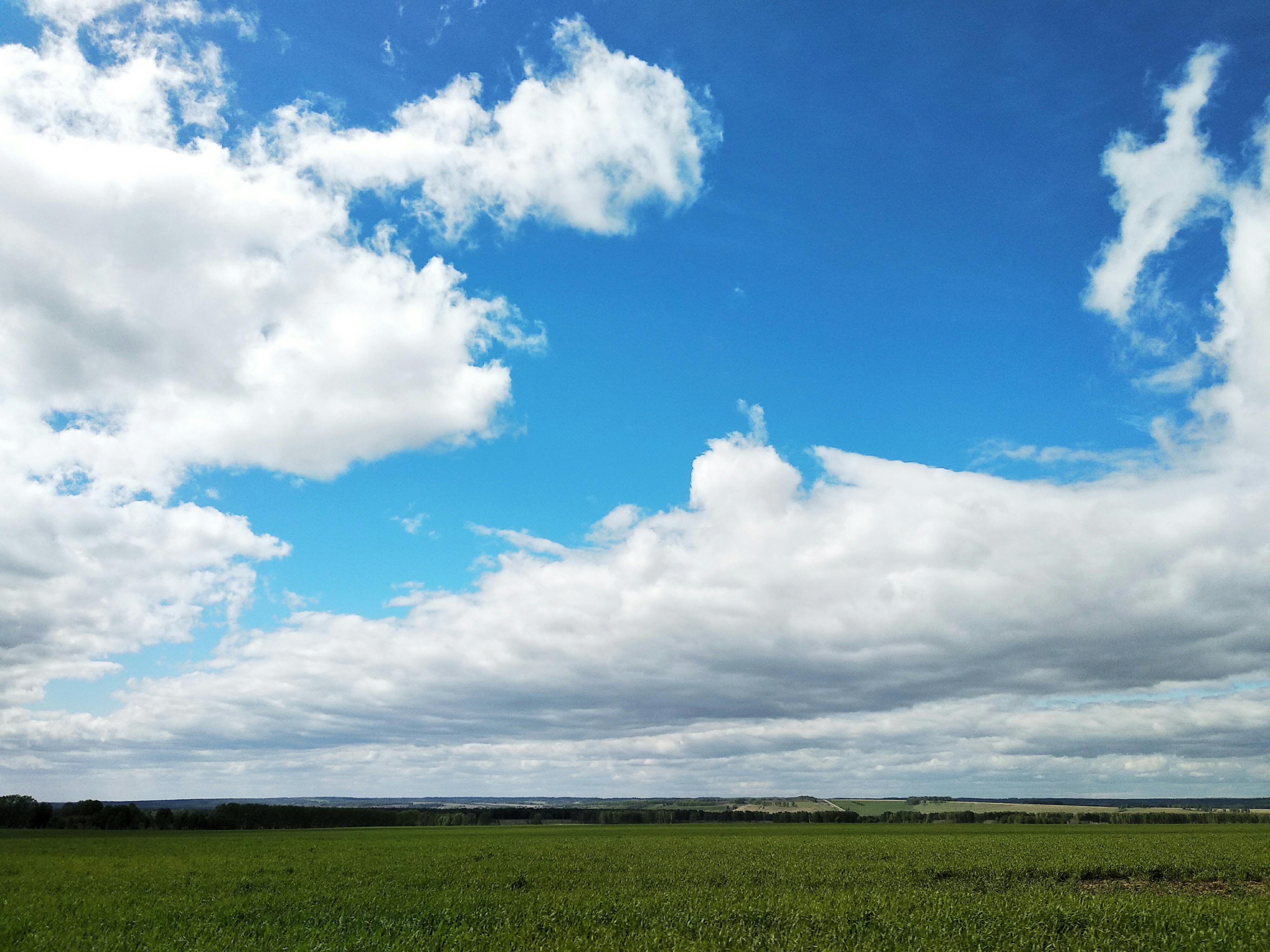 Brown Wooden Fence Across Crop Field Near Body of Water · Free Stock Photo