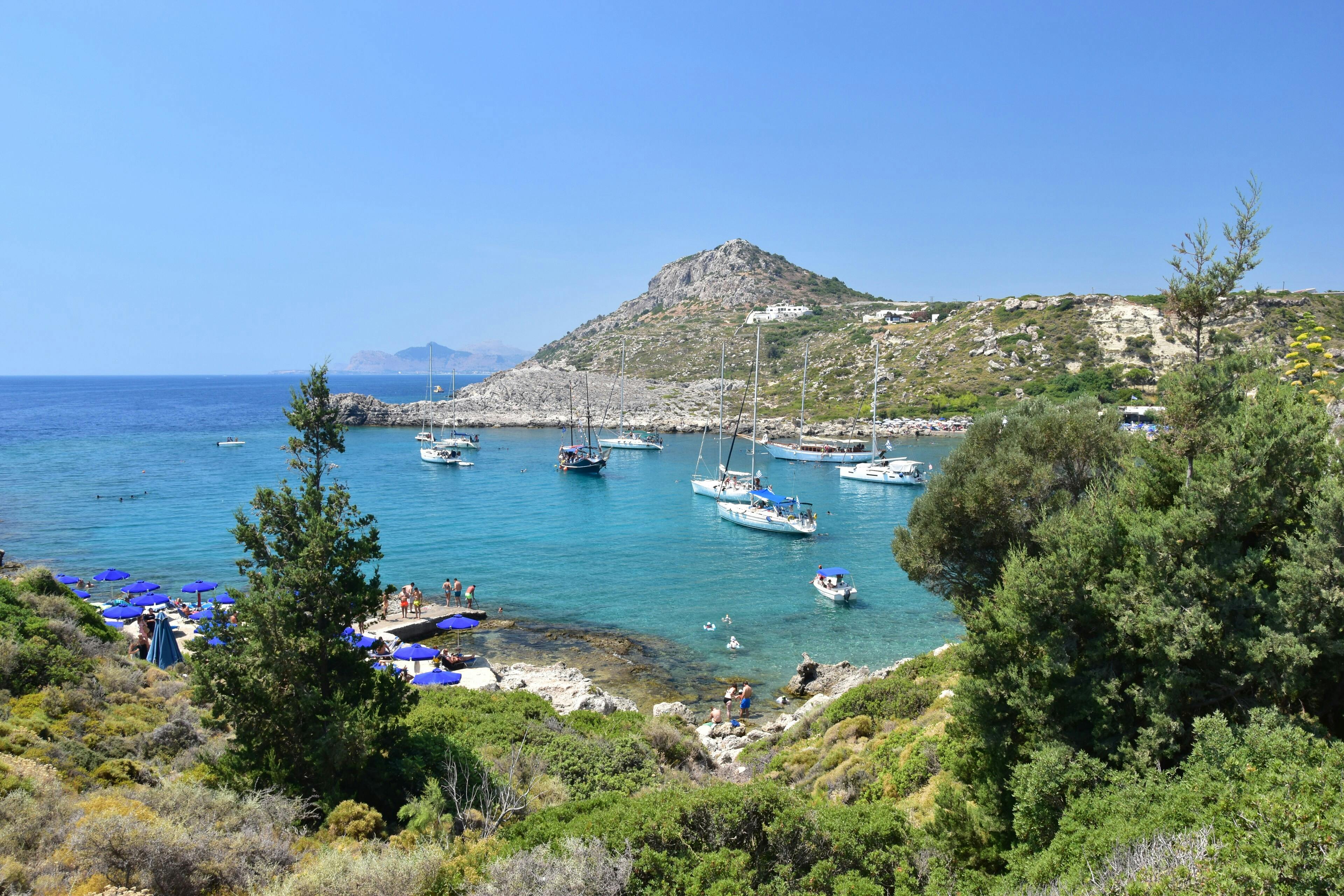 Bat Sea Photos, Download The BEST Free Bat Sea Stock Photos & HD Images