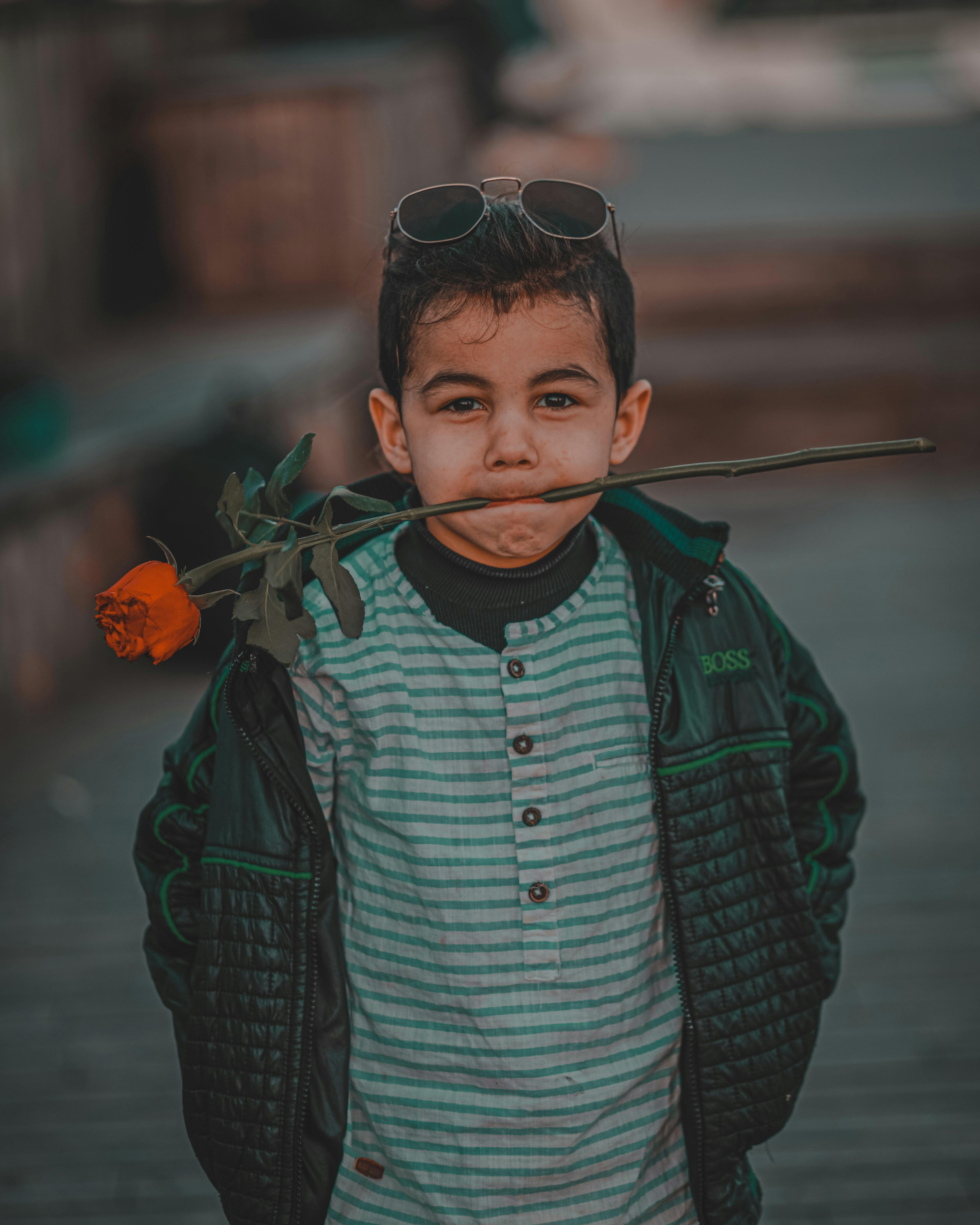 Biting Flower Photos, Download The BEST Free Biting Flower Stock Photos ...