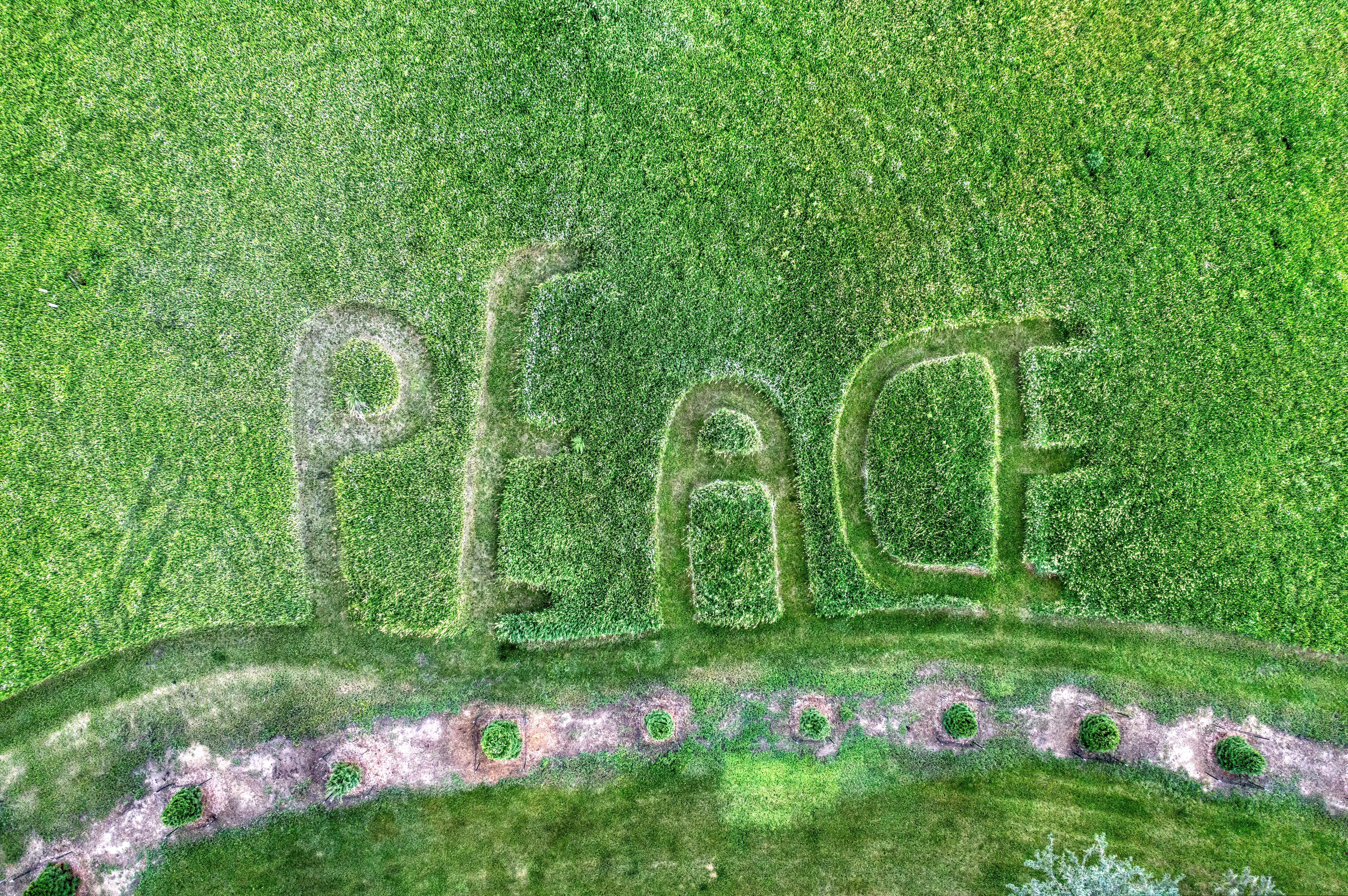 Aerial View of Grassy Field · Free Stock Photo