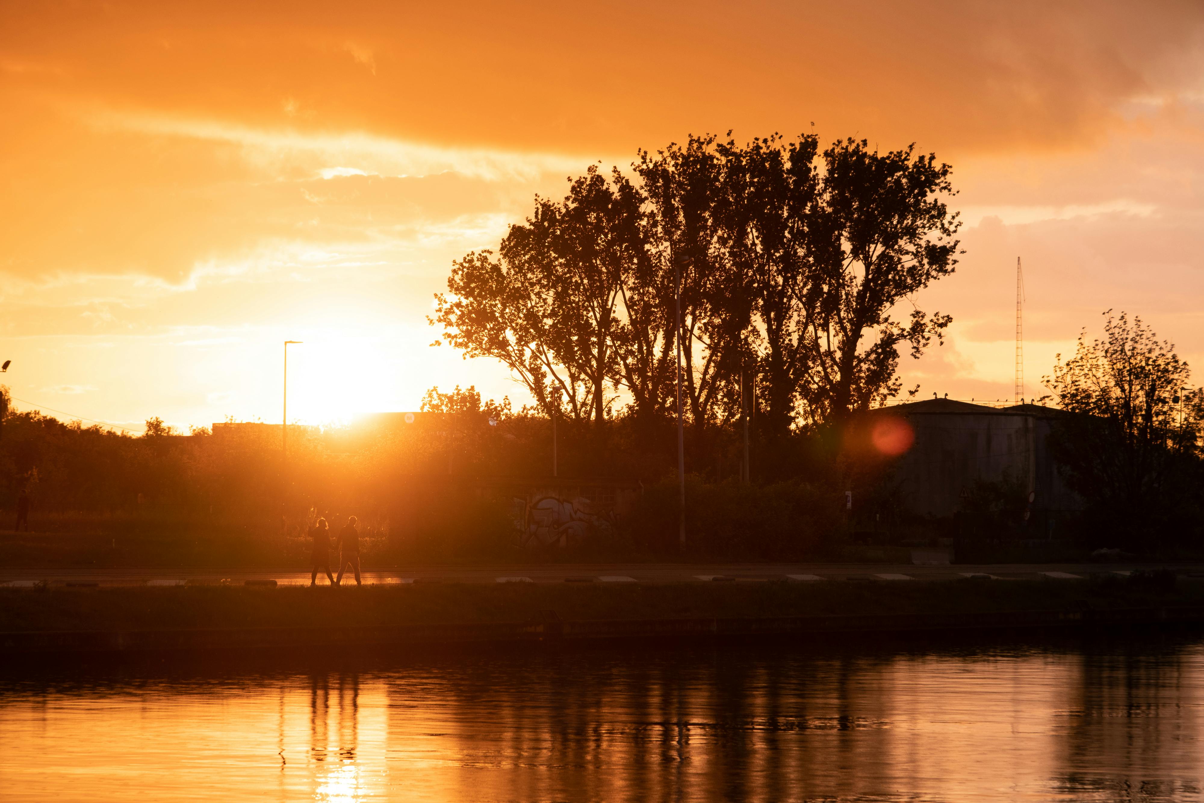 Trees and Bower in Park · Free Stock Photo