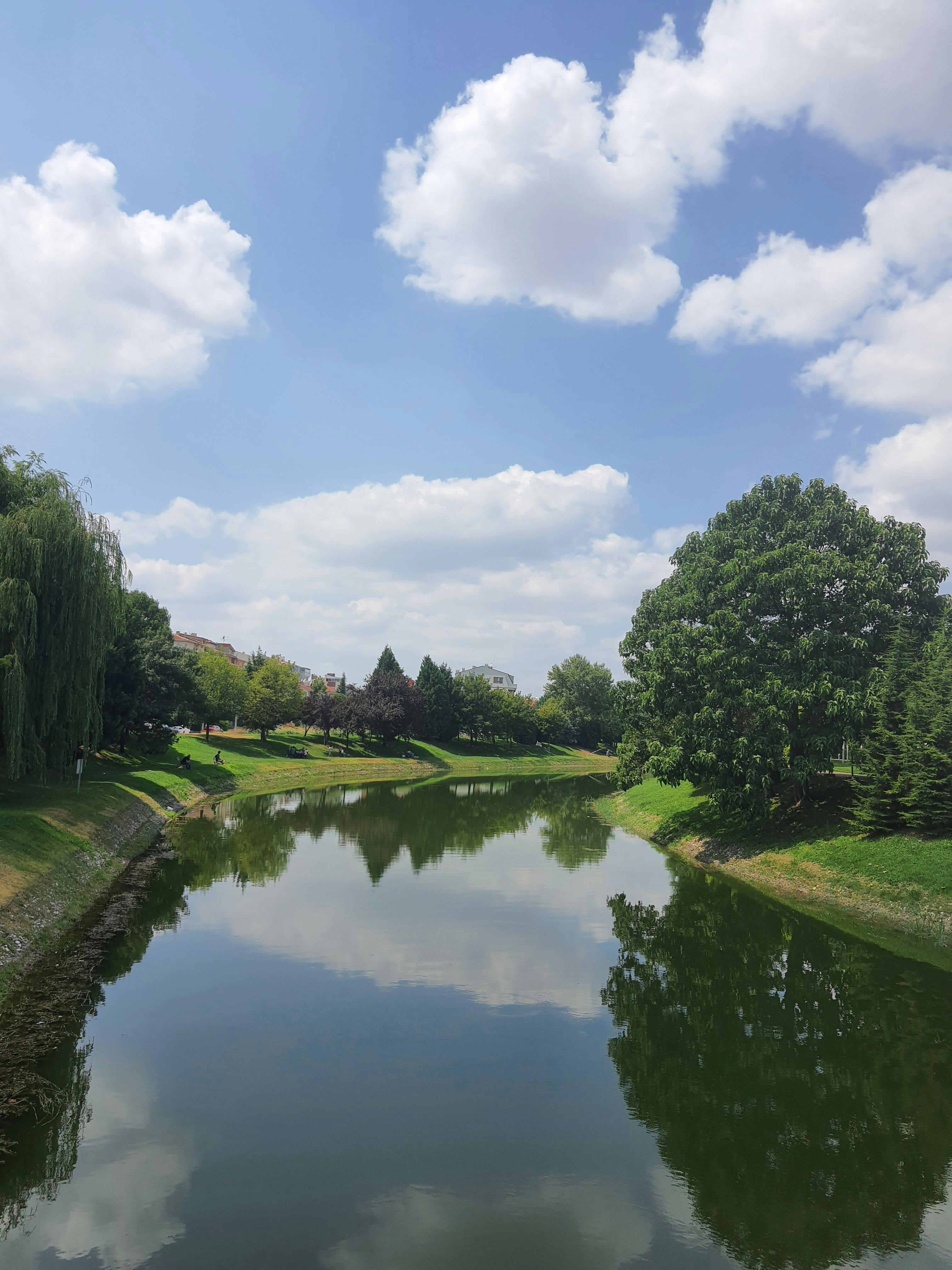 A River in the Countryside · Free Stock Photo