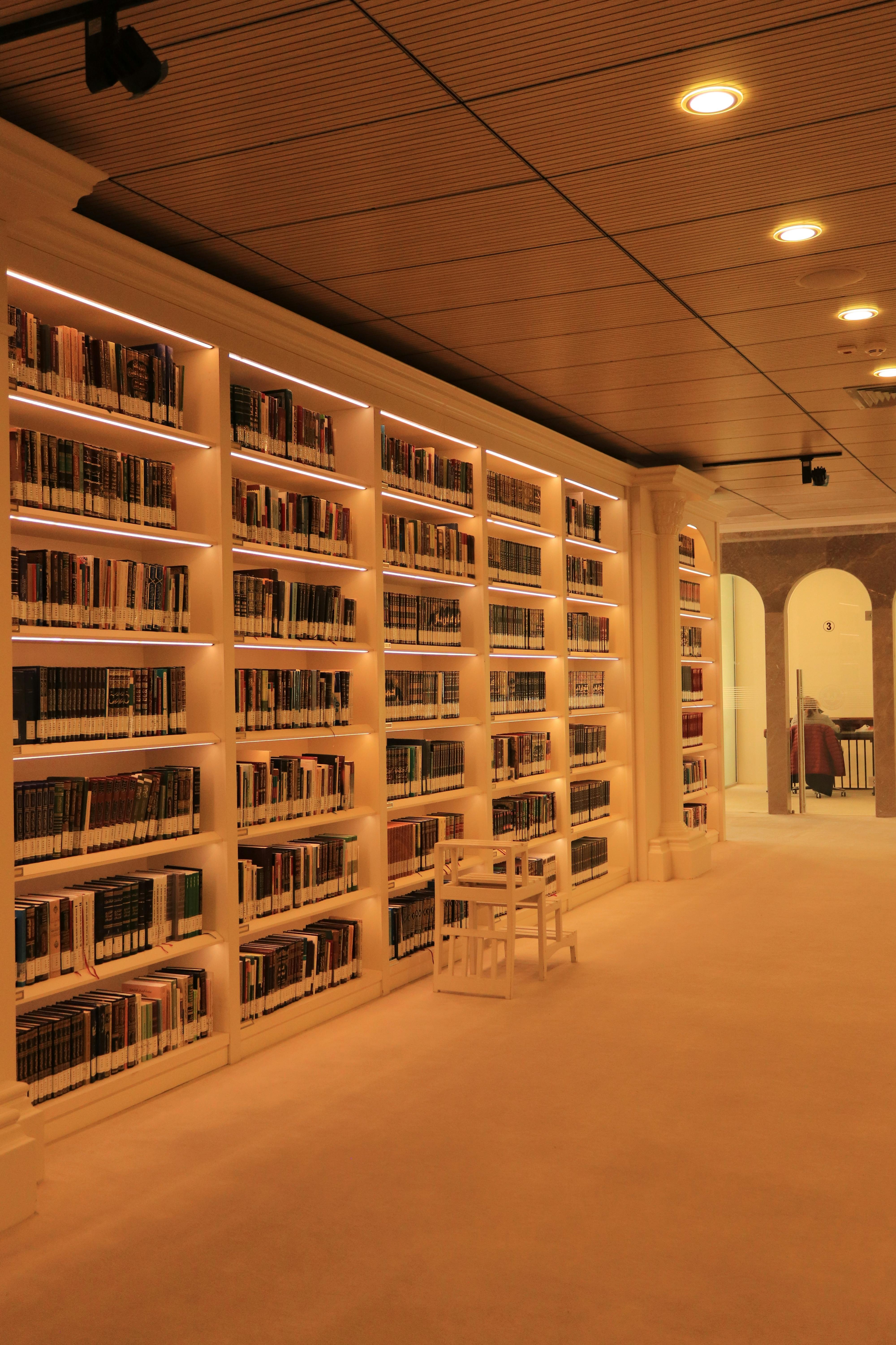 A Books on the Shelves Inside the Library · Free Stock Photo