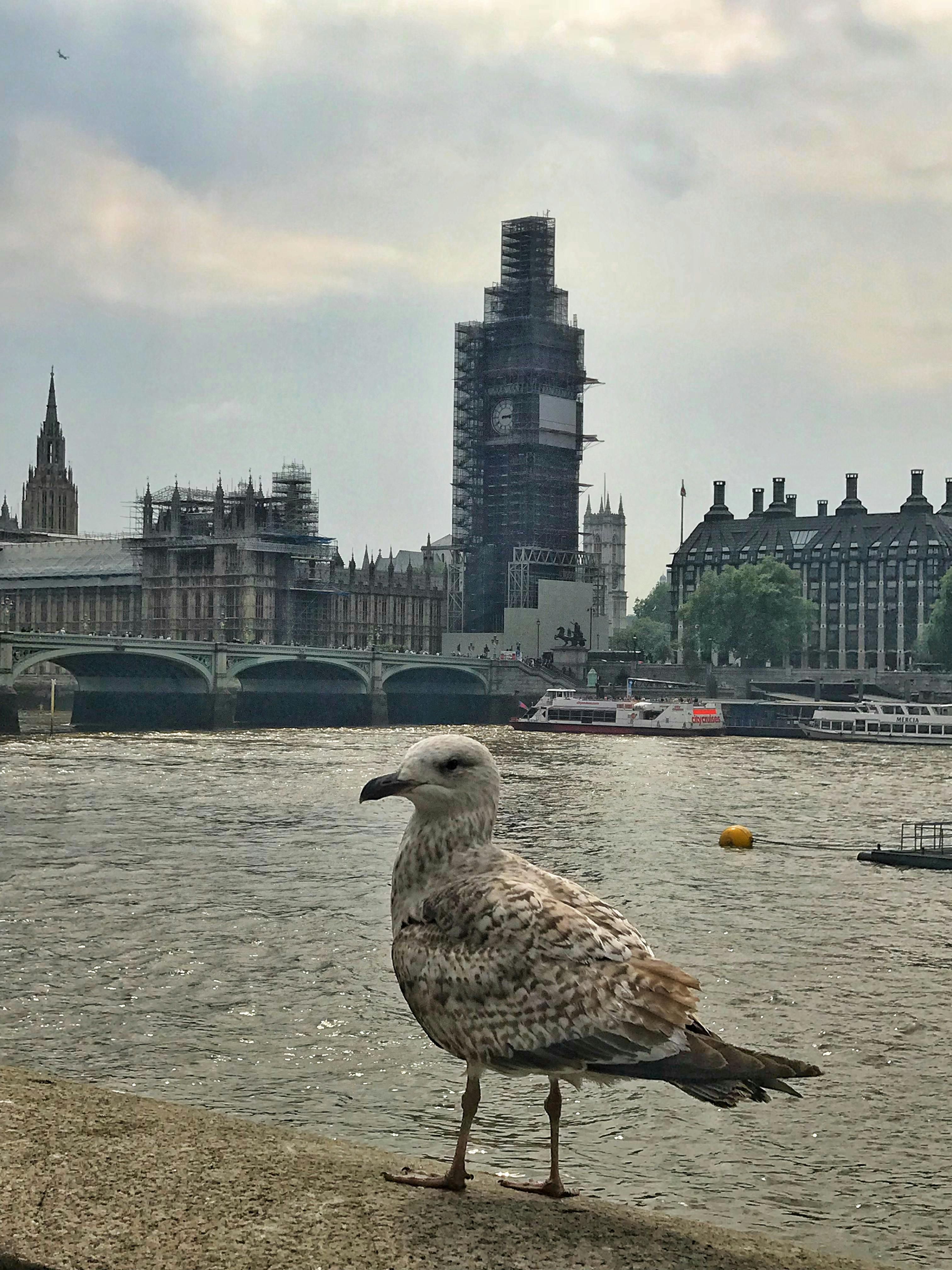 Chris Dunne - 写真