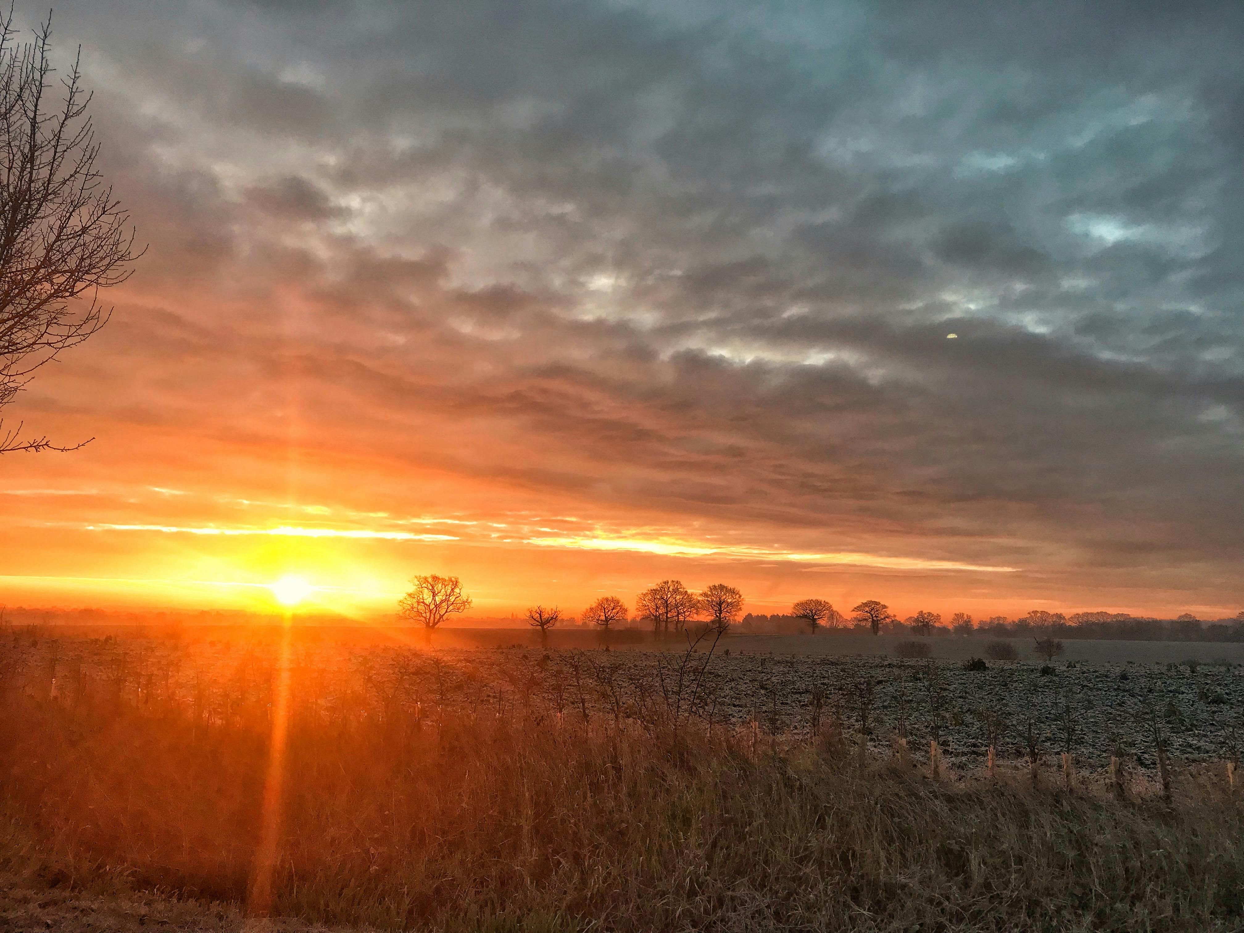 Chris Dunne - 写真