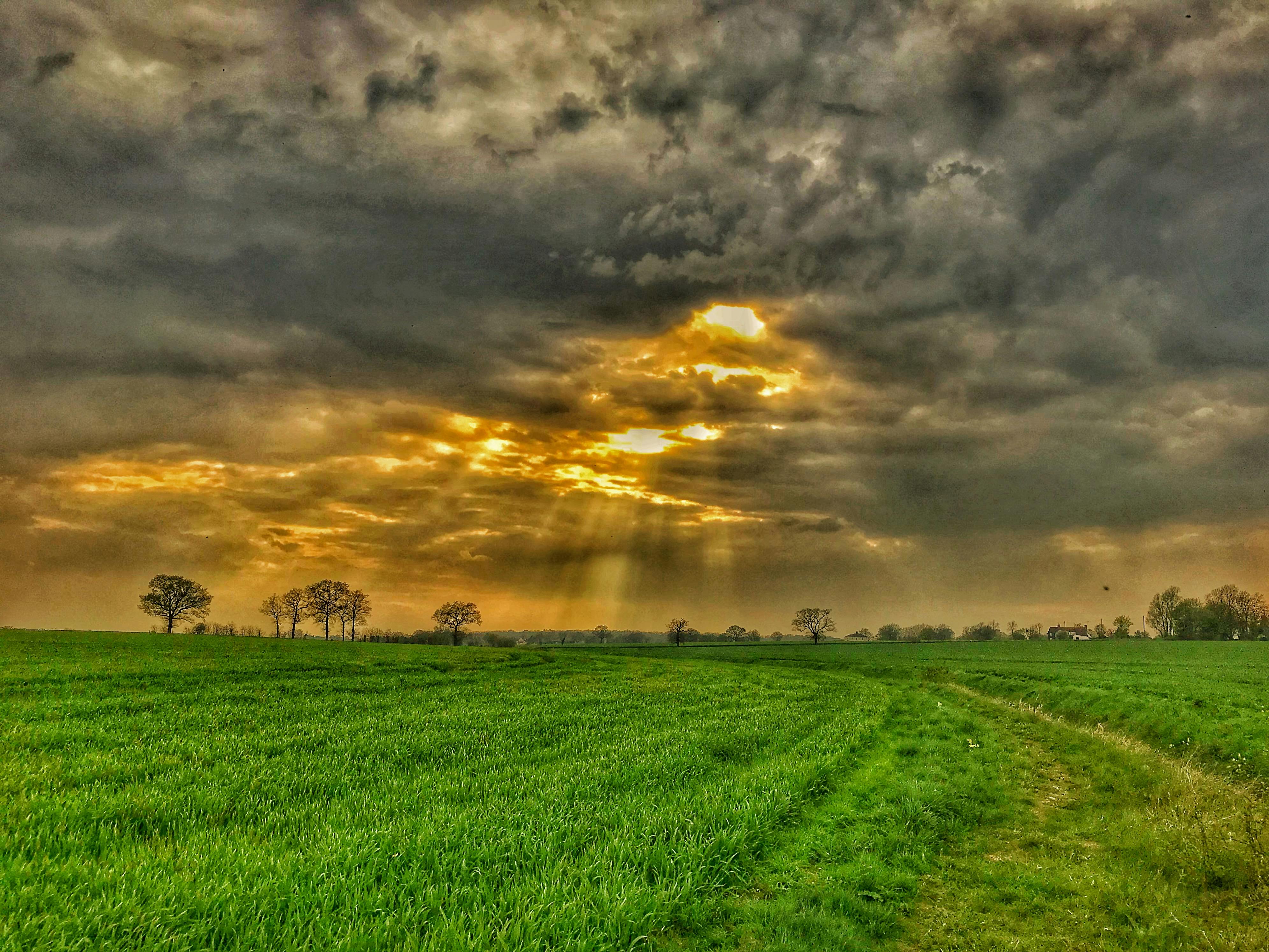 Chris Dunne - 사진