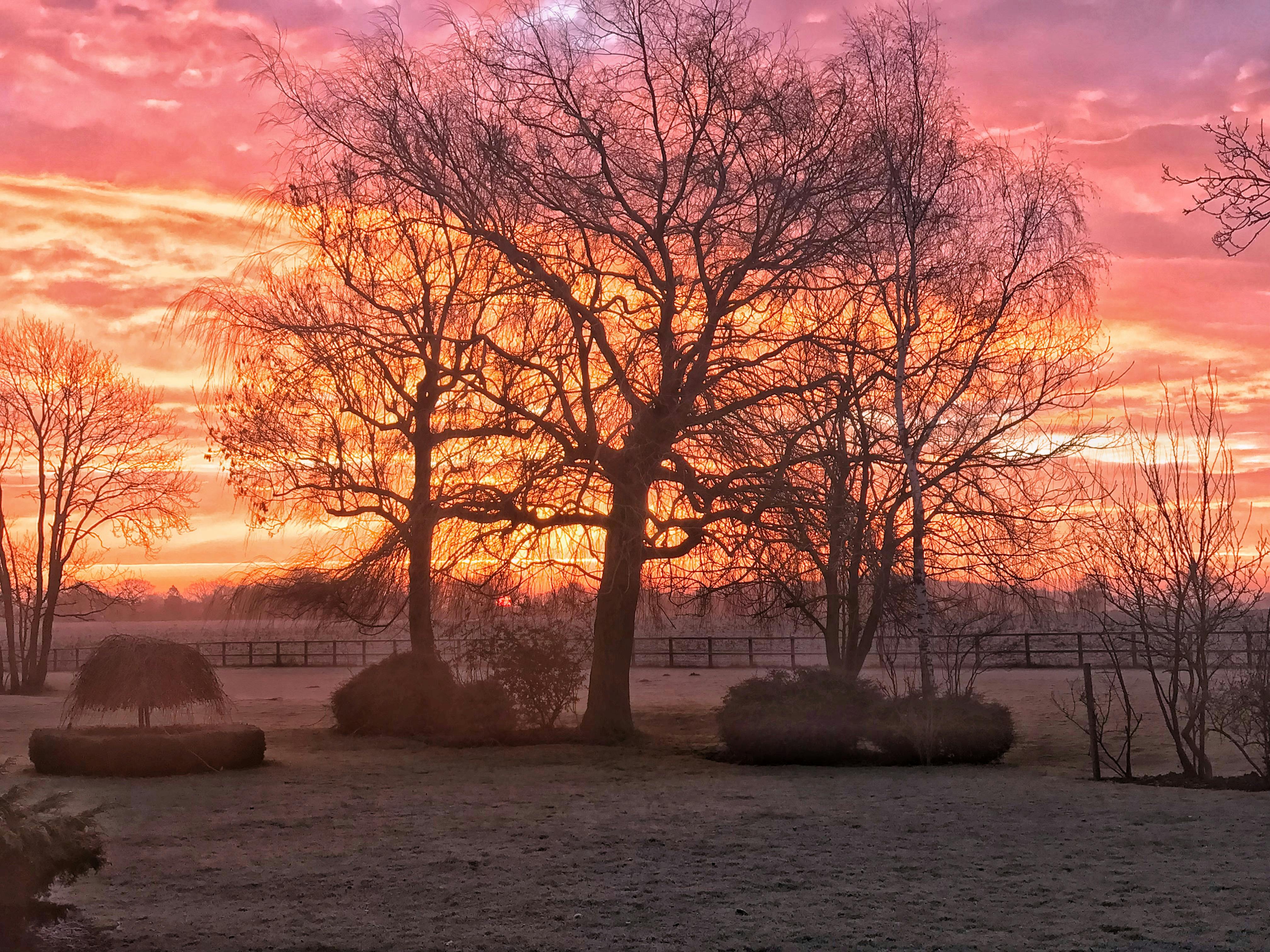 Chris Dunne - 写真