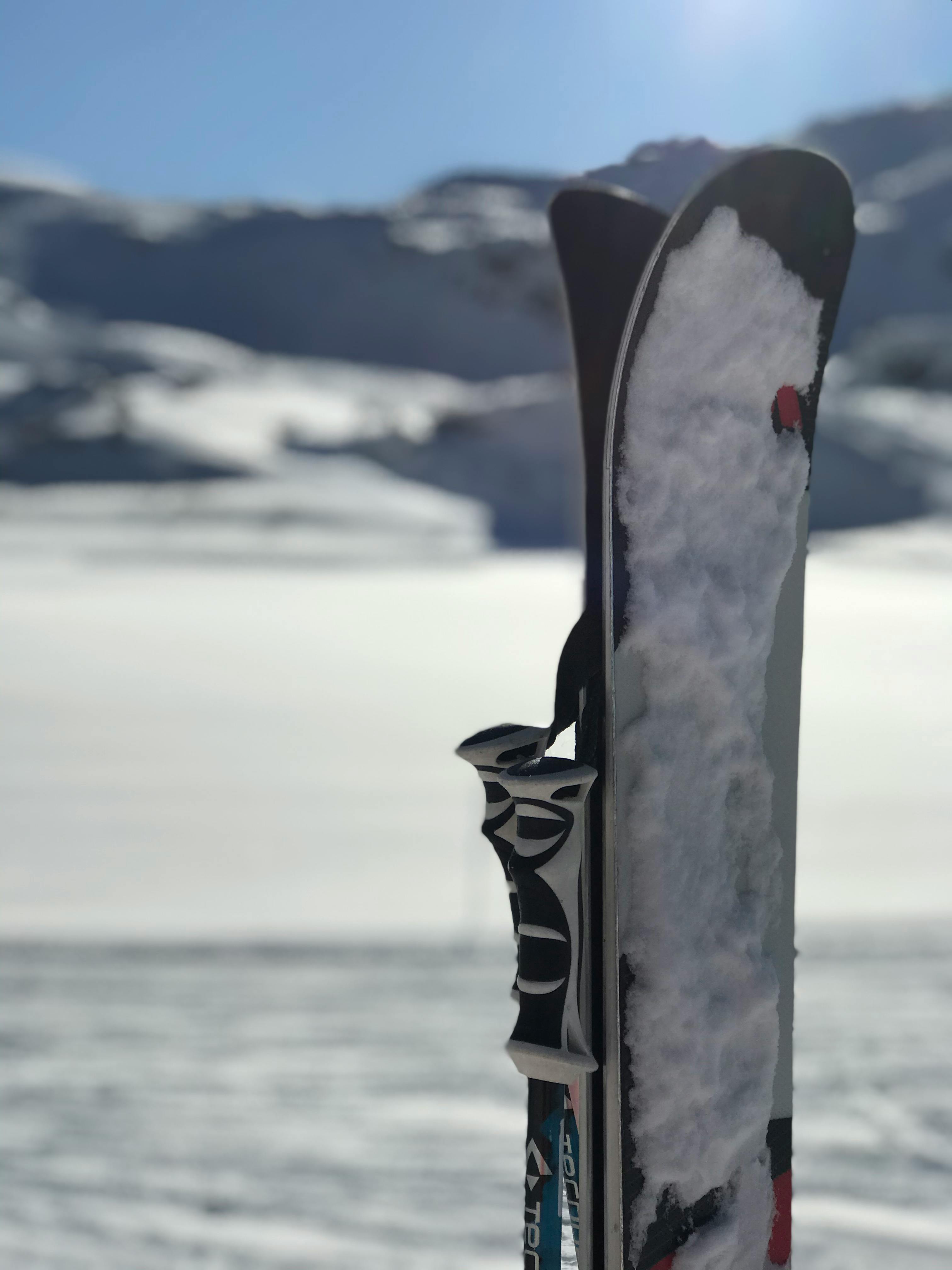 Chris Dunne - 写真