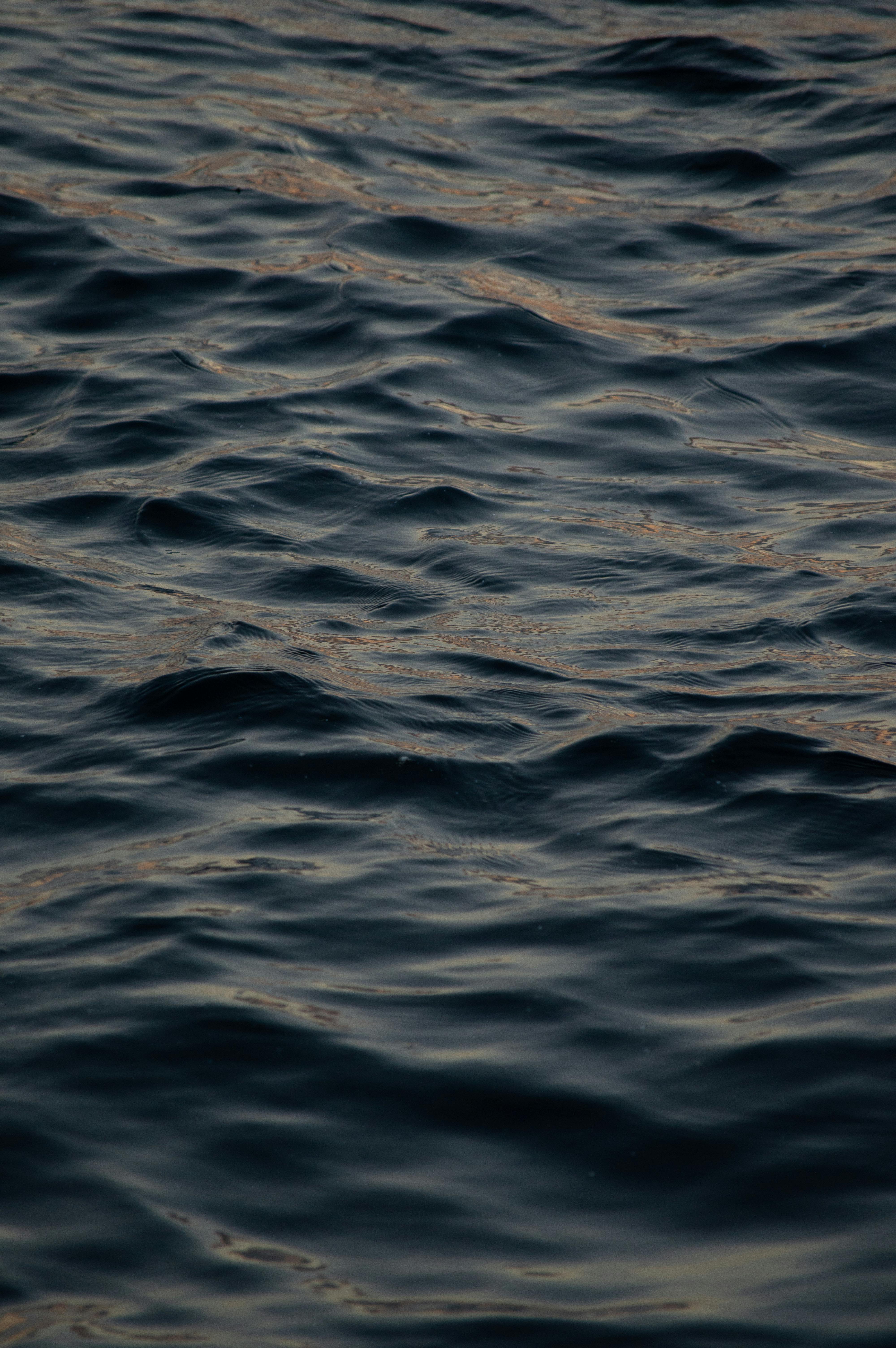 Close-up Shot of Sea Water · Free Stock Photo